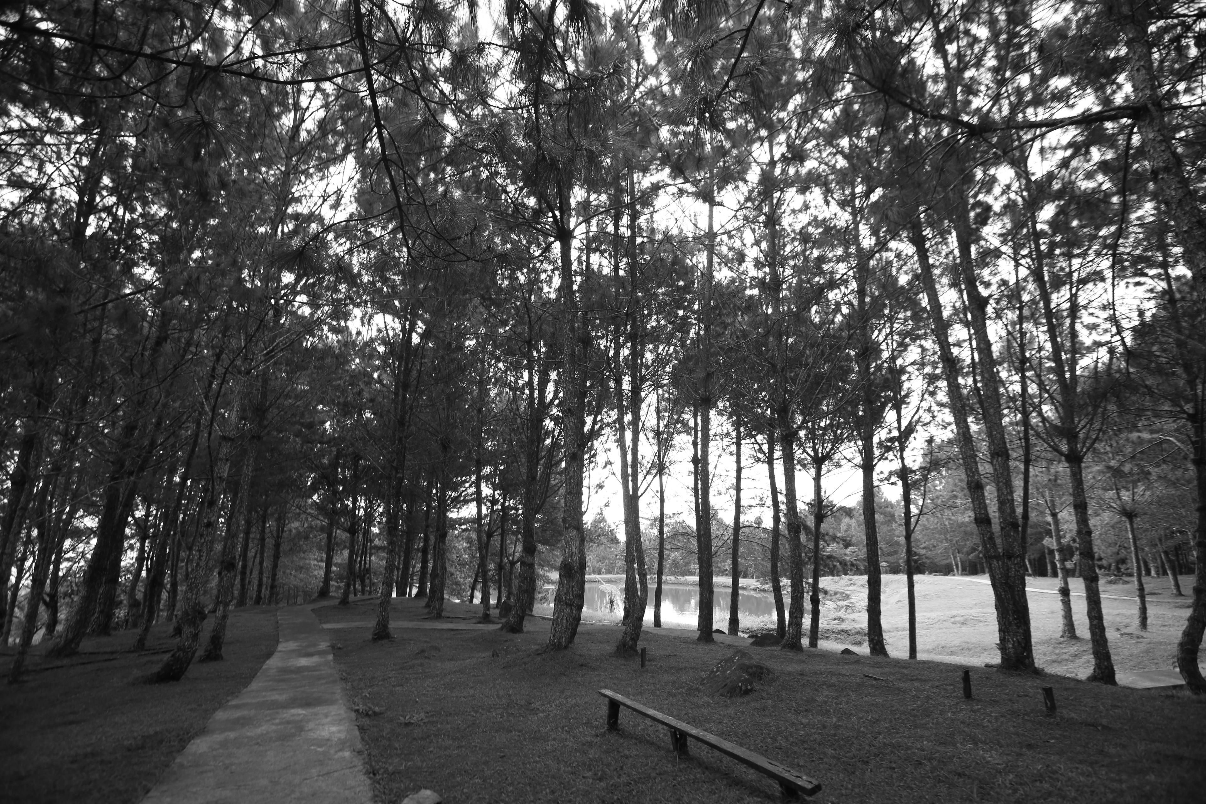 Rey Rey - Photography