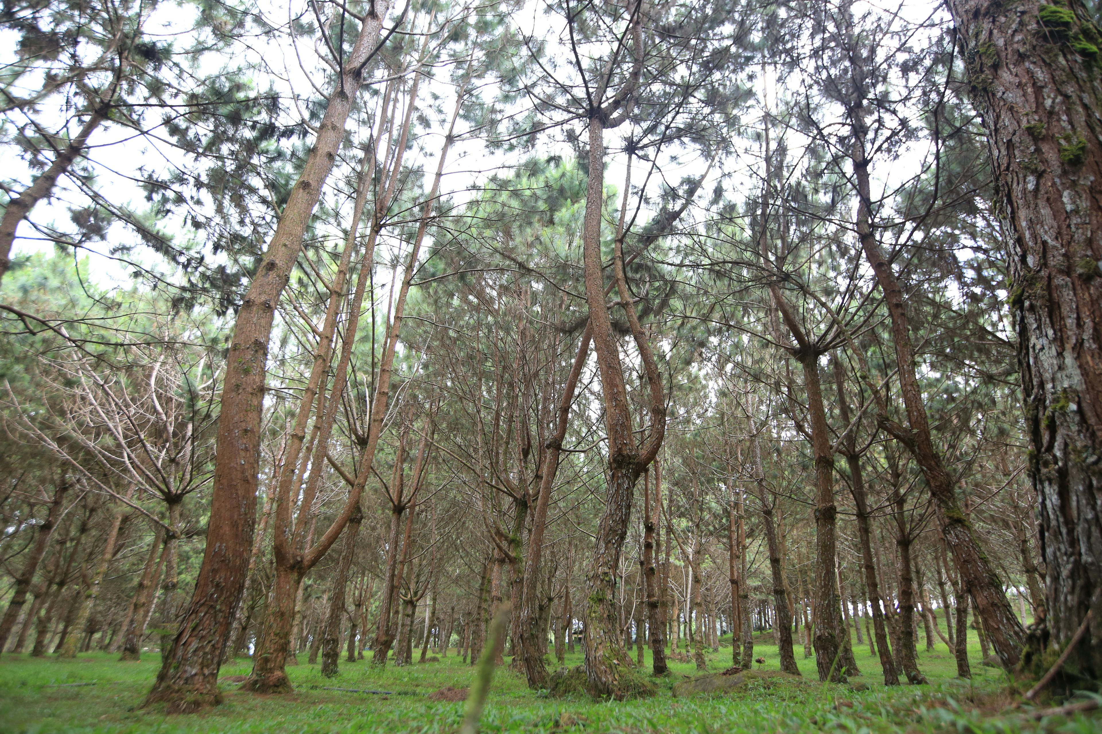 Rey Rey - Photography