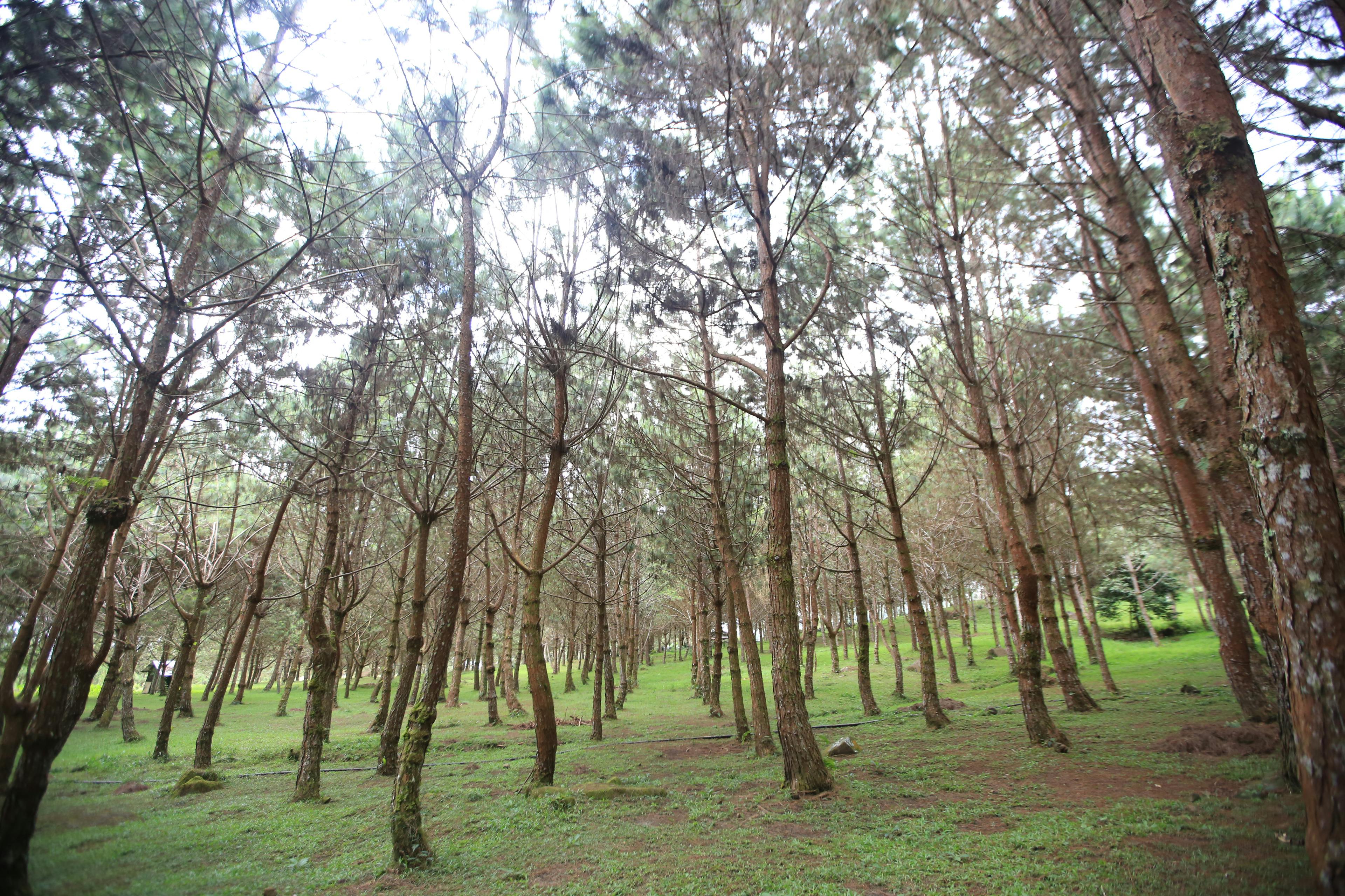 Rey Rey - Photography