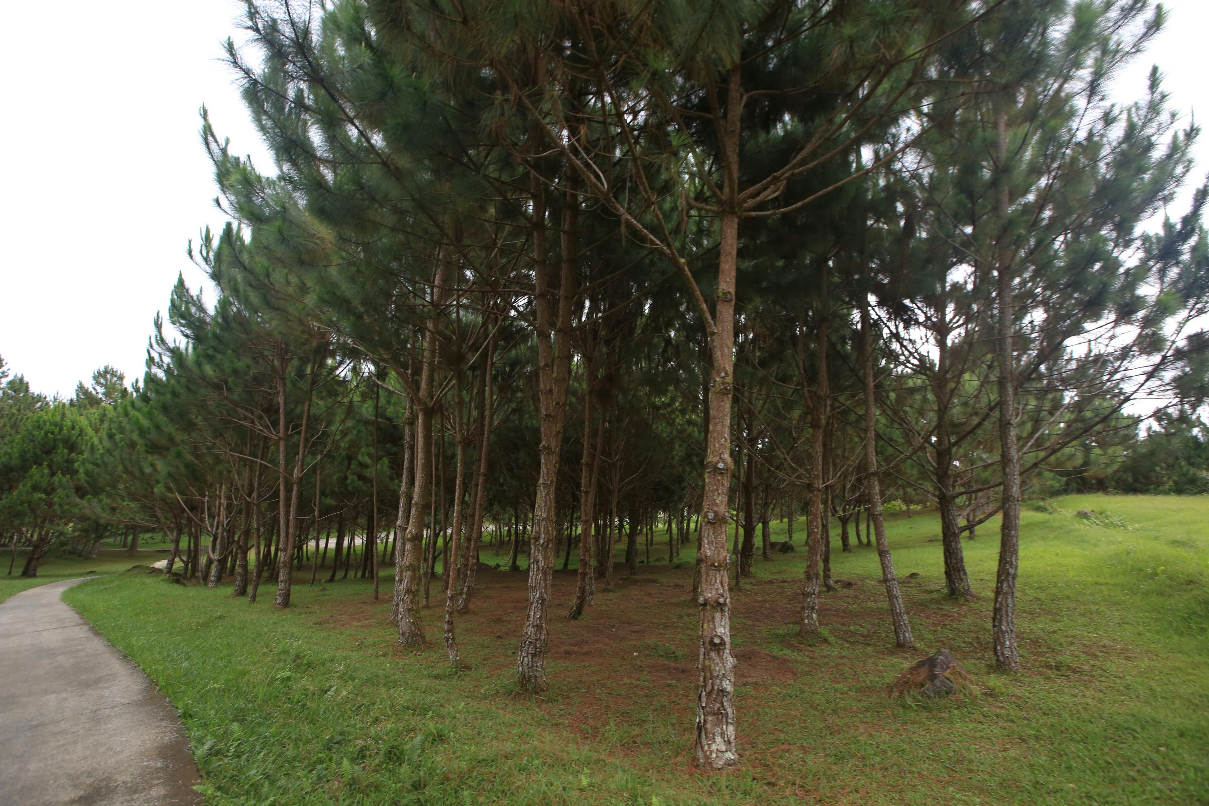 Rey Rey - Photography