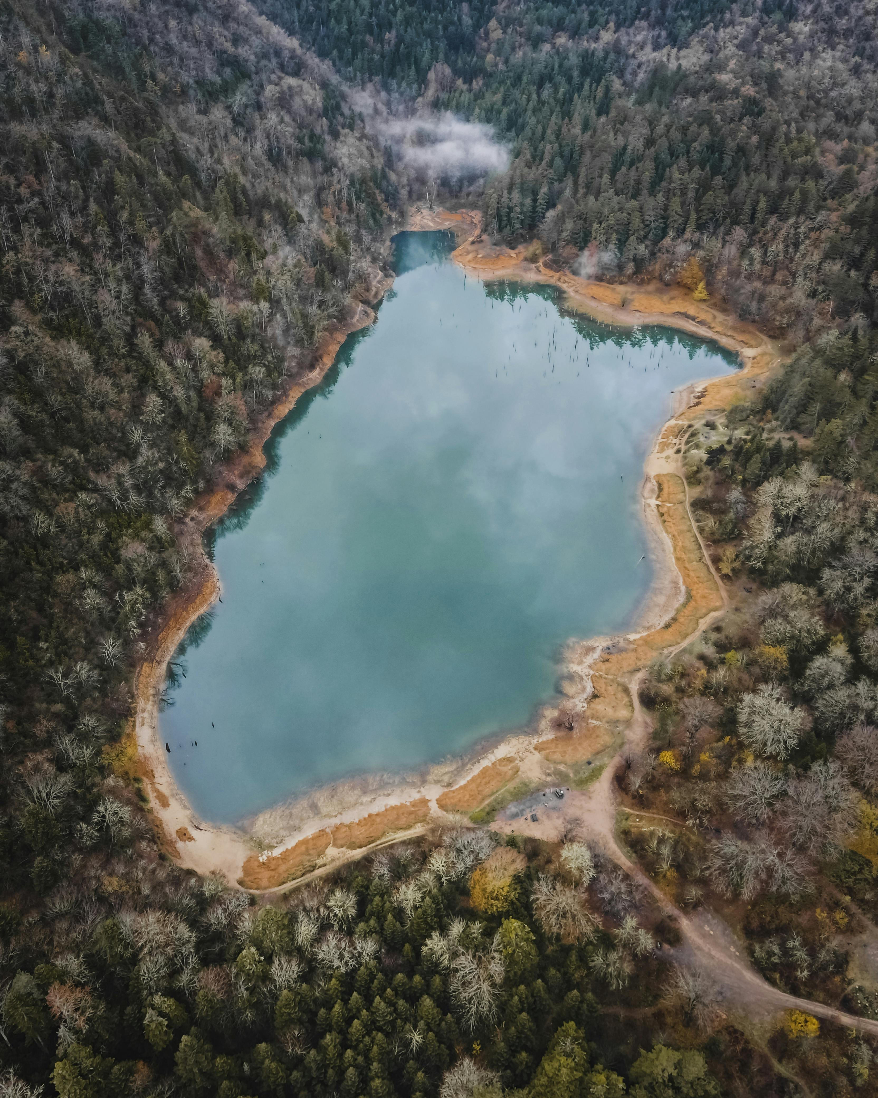 Aerial view of lake among trees · Free Stock Photo