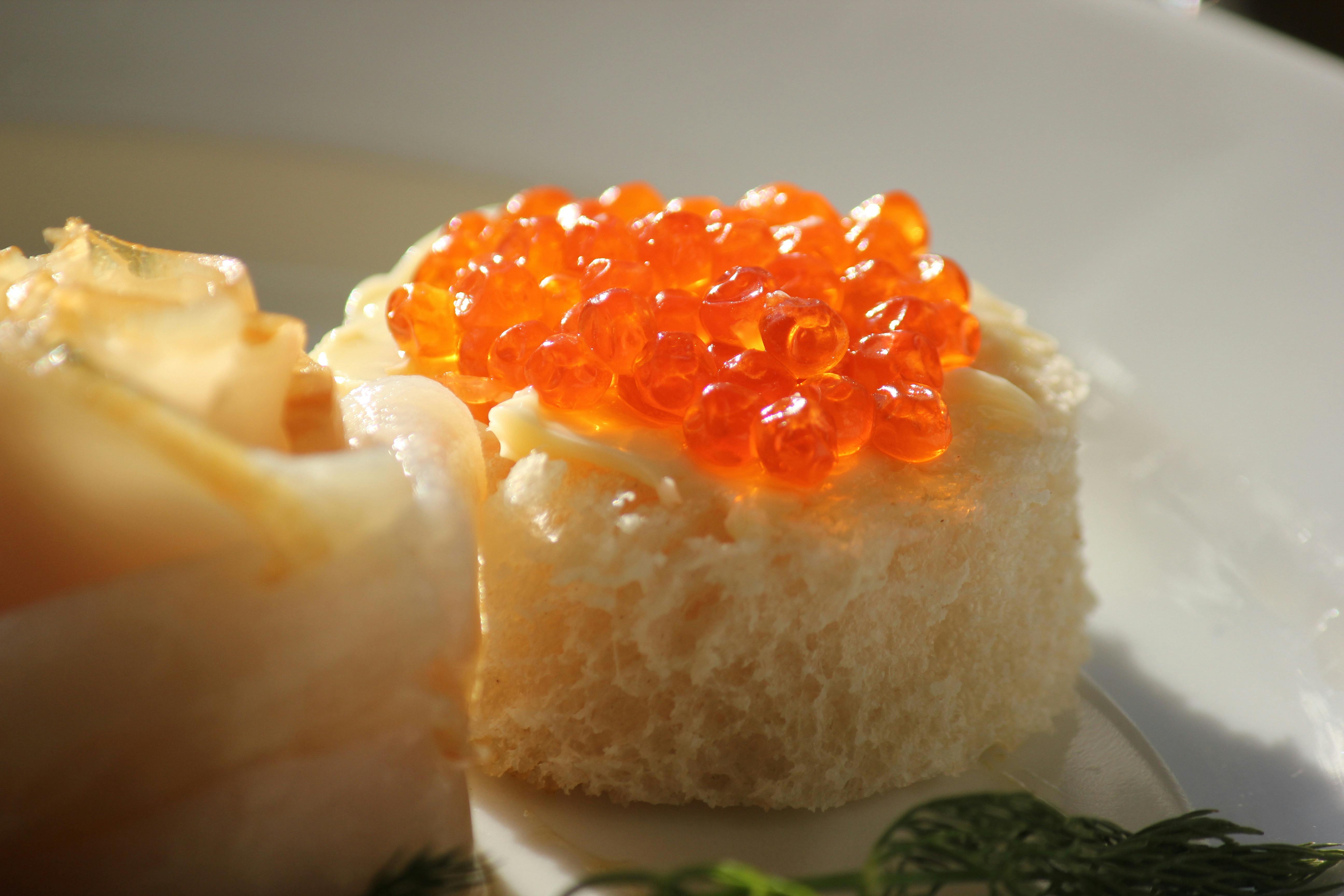 Luxury Caviar Photos, Download The BEST Free Luxury Caviar Stock Photos ...