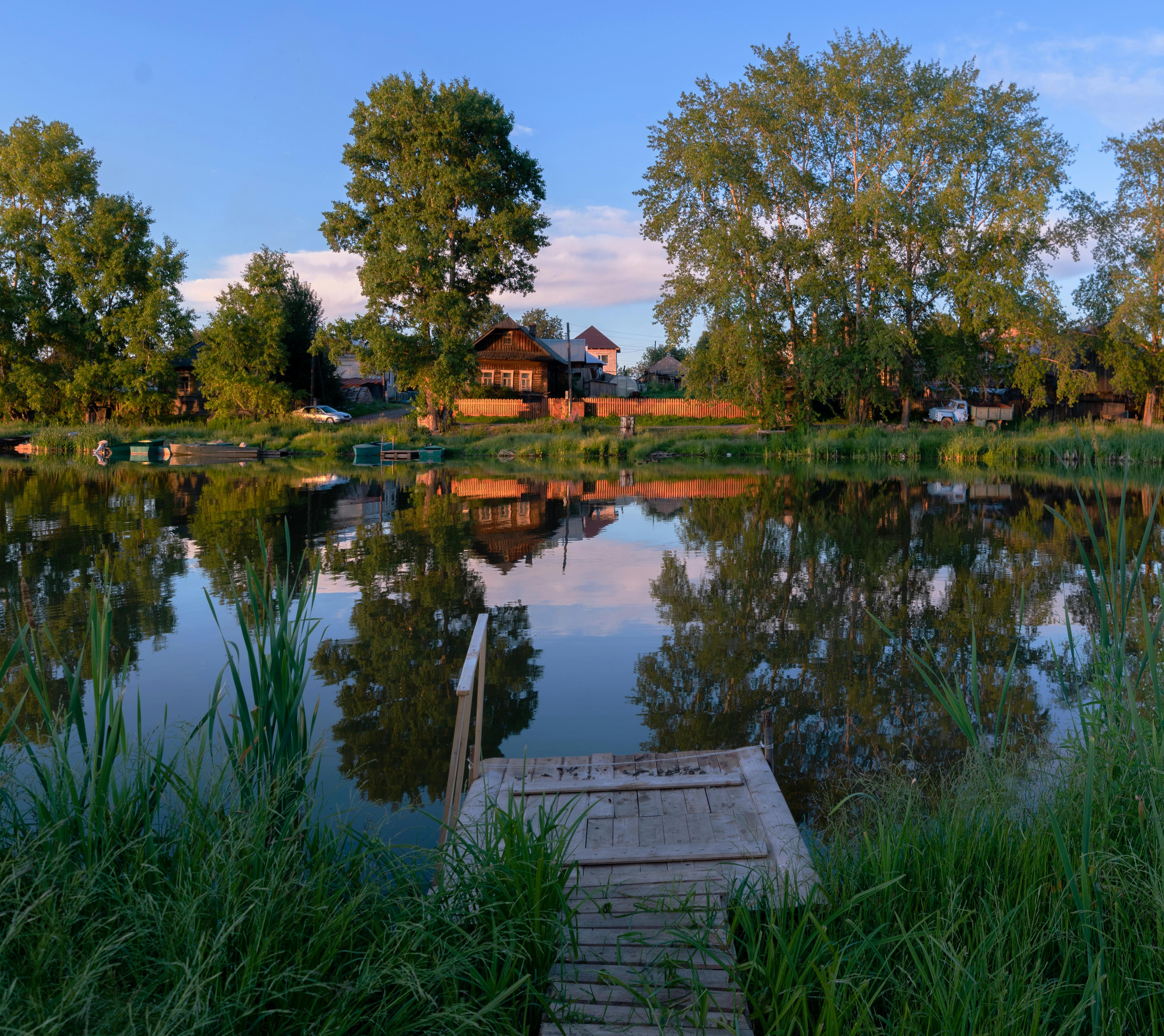 Green Trees Beside Body of Water · Free Stock Photo