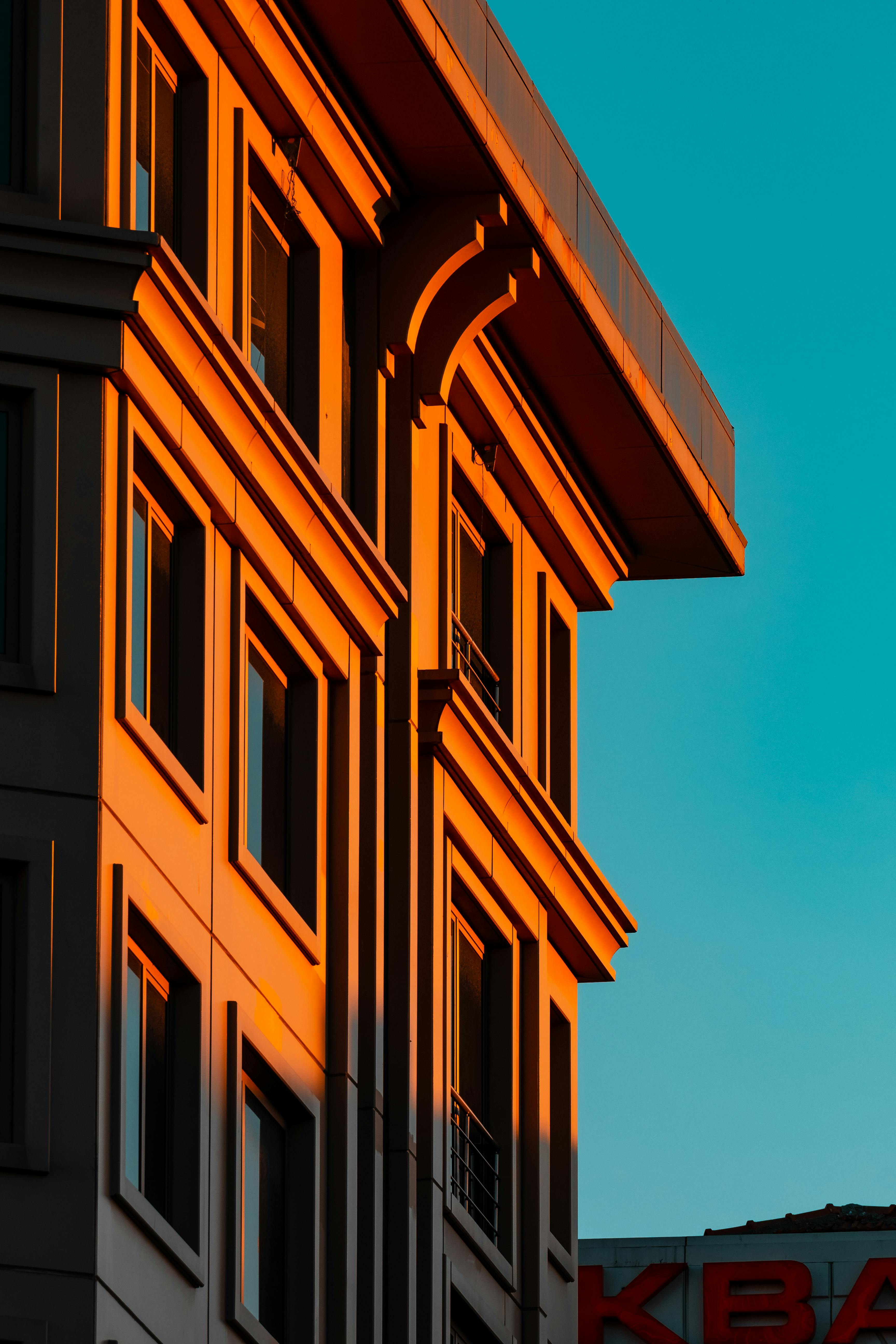 Close-up of Leaves Hanging in front of a Building and Casting Shadow on ...