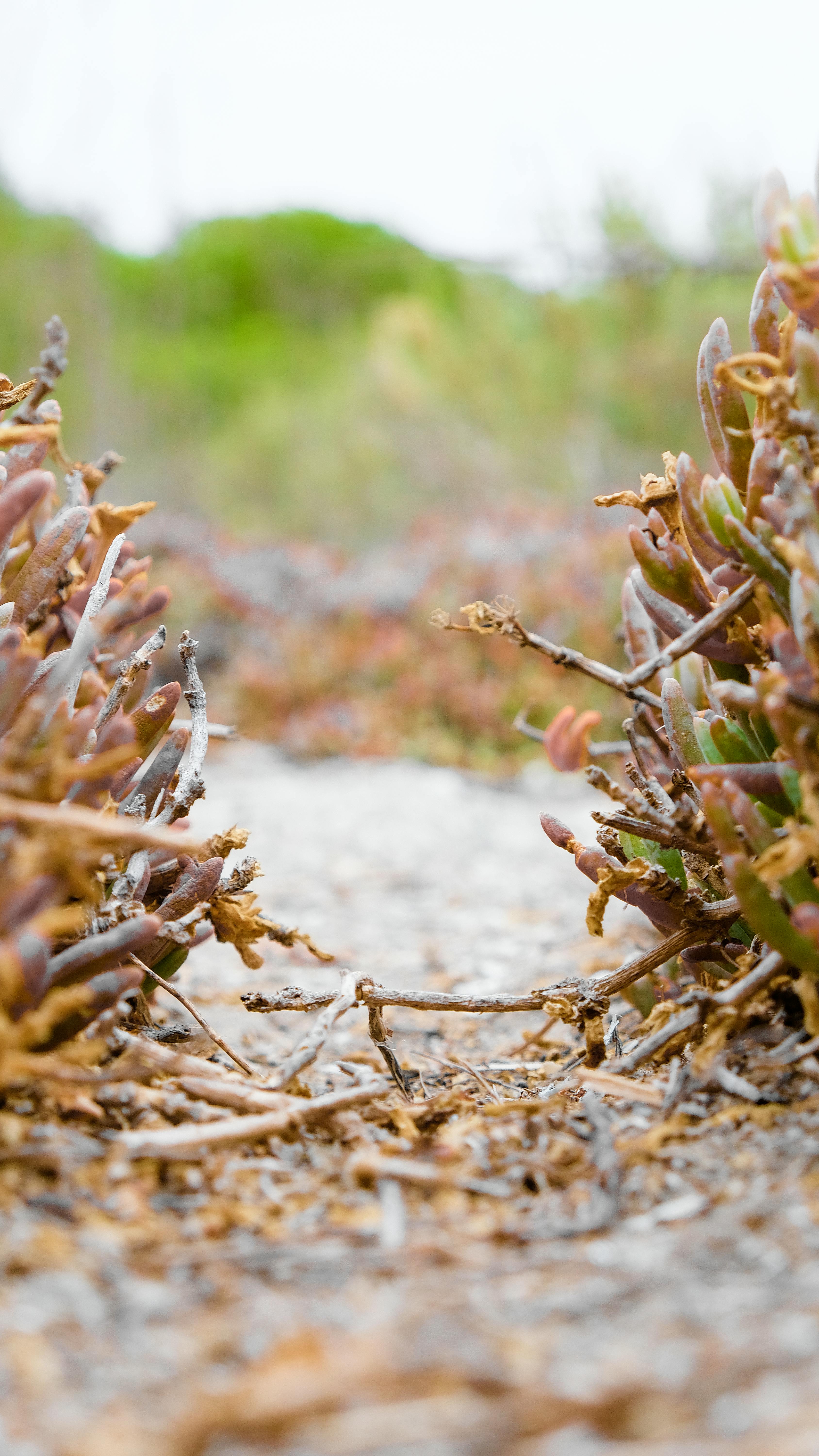 Brett Rogers - Fotografía