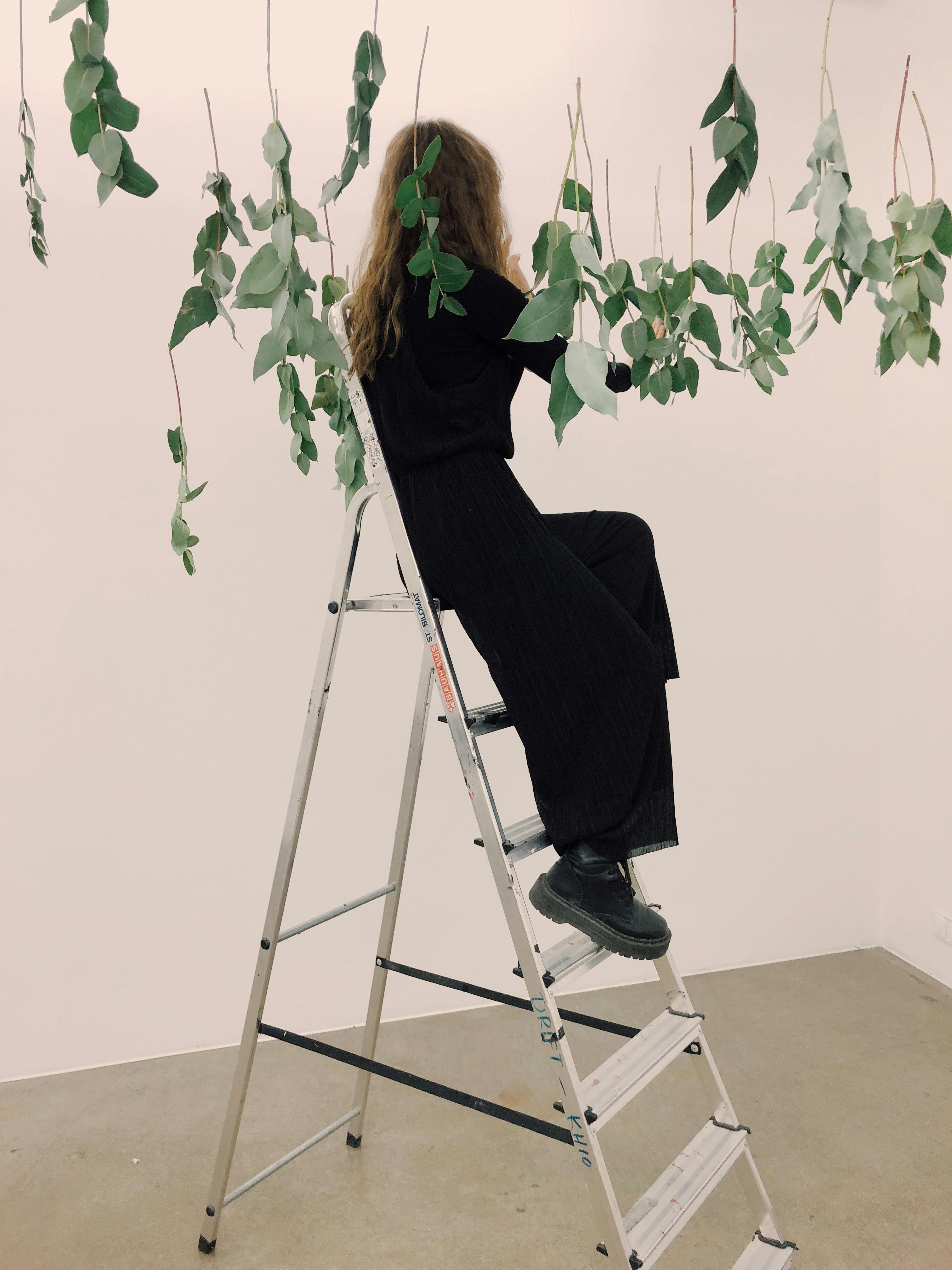 1,850+ Best Free Ladder Stock Photos & Images · 100% Royalty-Free HD ...