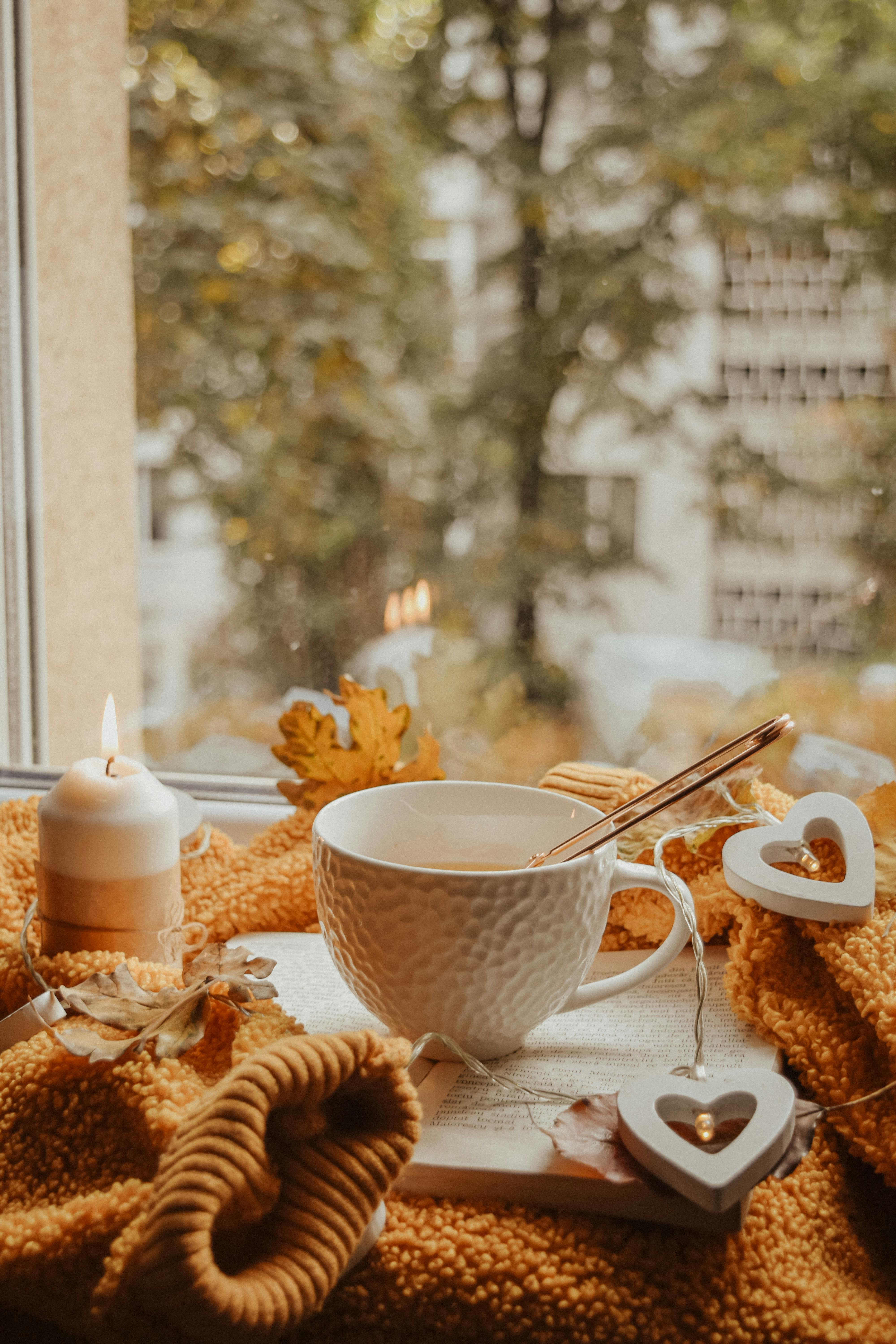 String Lights On Book · Free Stock Photo
