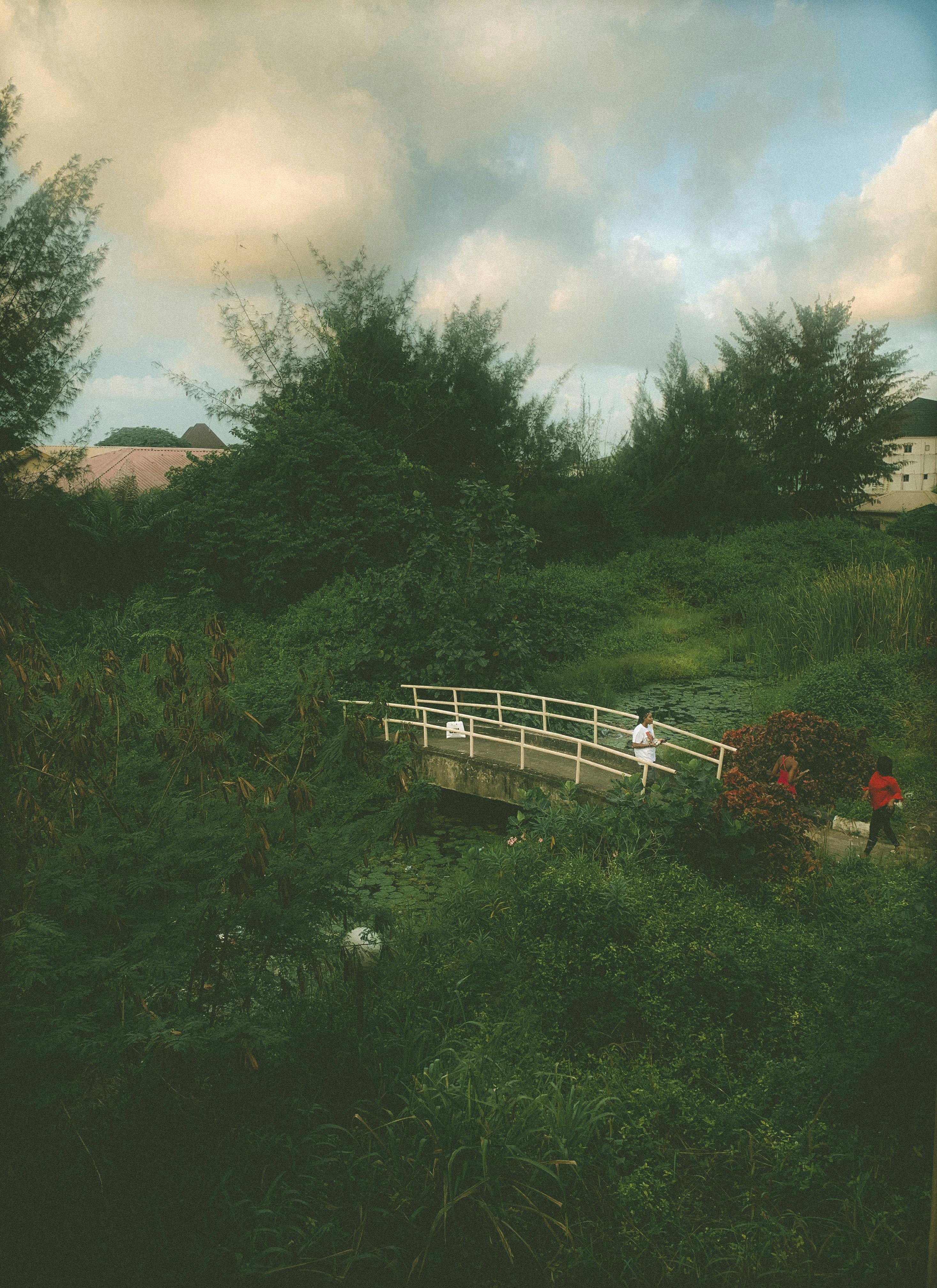 Bridge in the Grass Field · Free Stock Photo