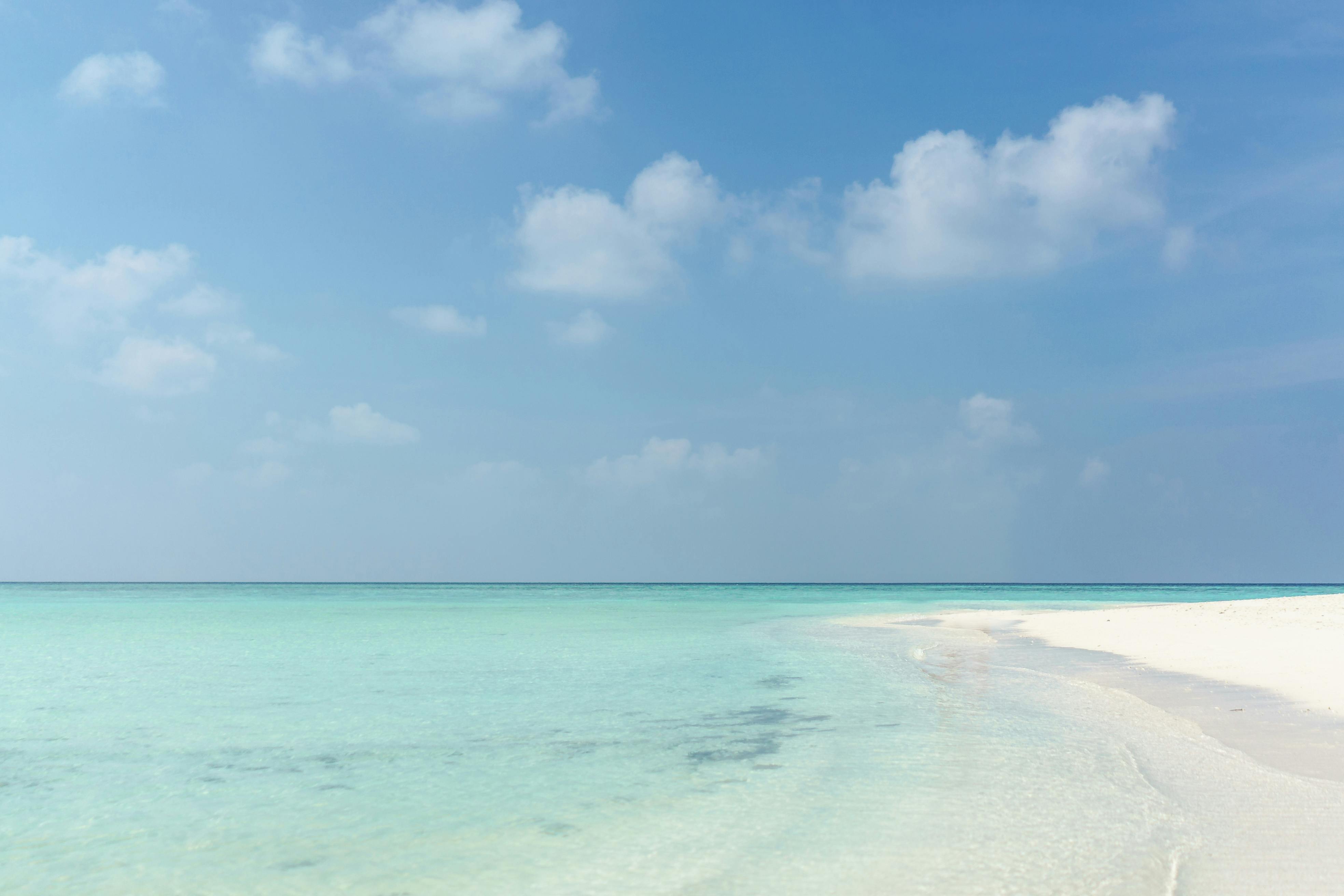 Blue Sea Under Blue Sky and White Clouds · Free Stock Photo