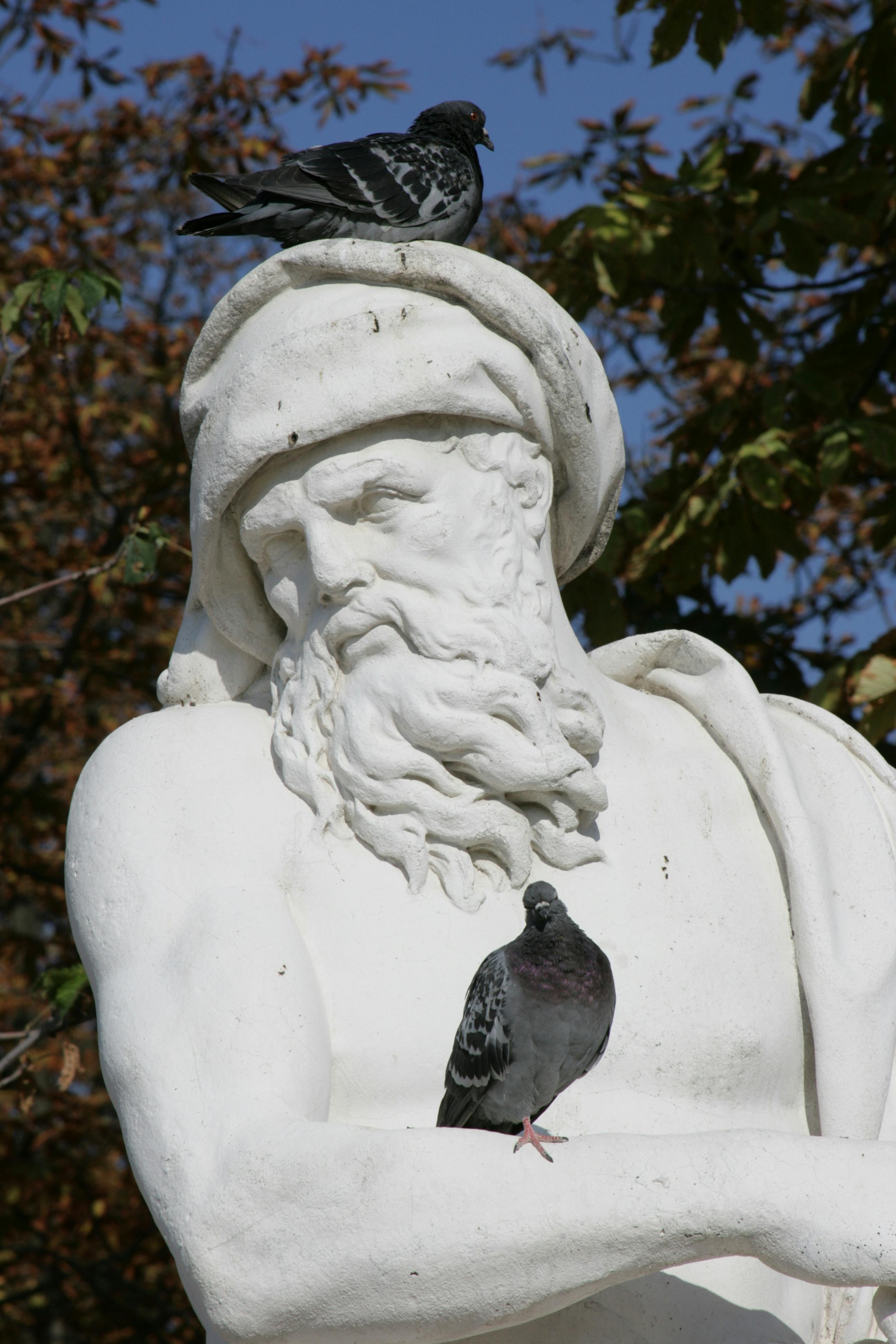 Birds on a Statue · Free Stock Photo