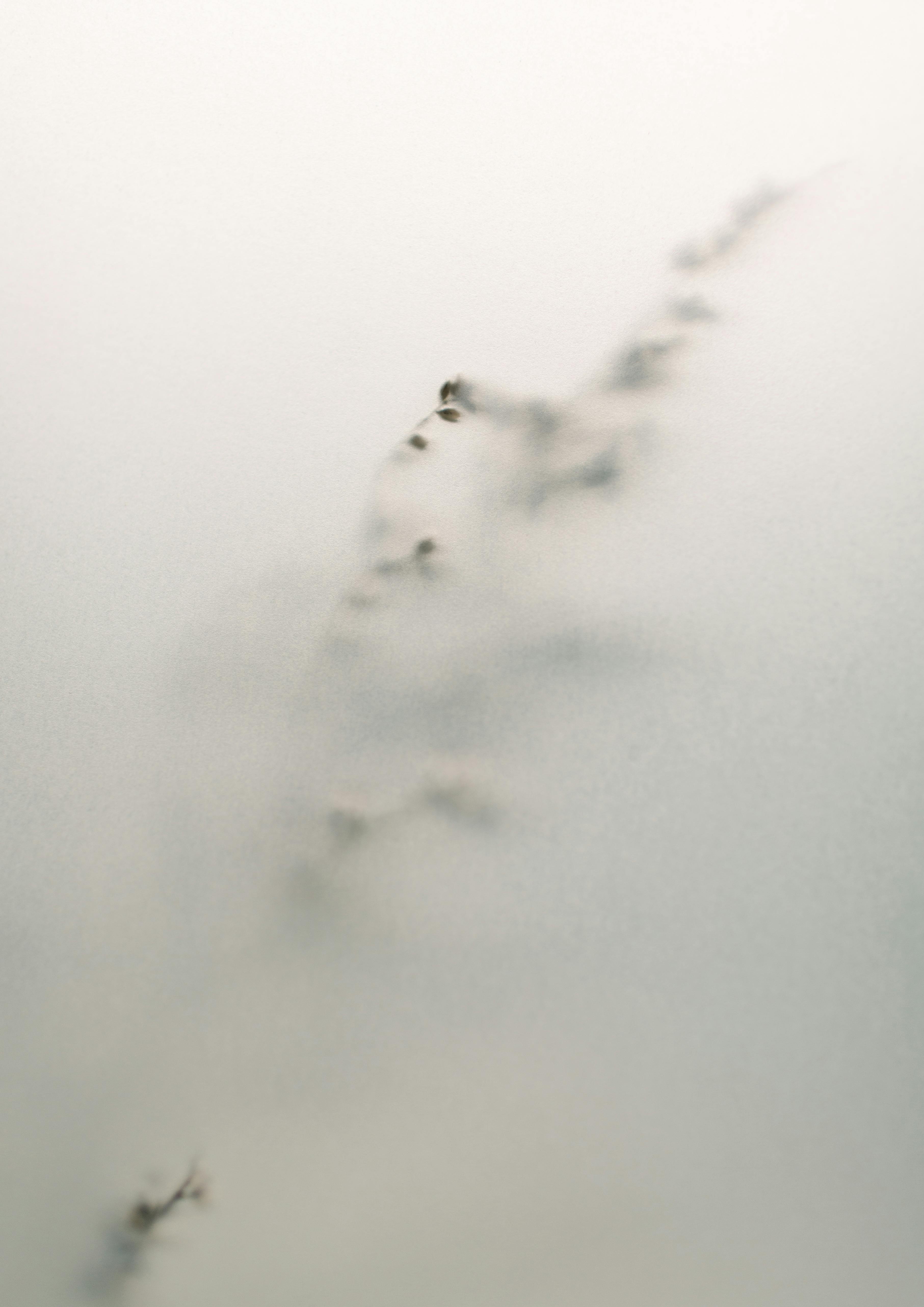 Vague Background Photos, Download The BEST Free Vague Background Stock ...