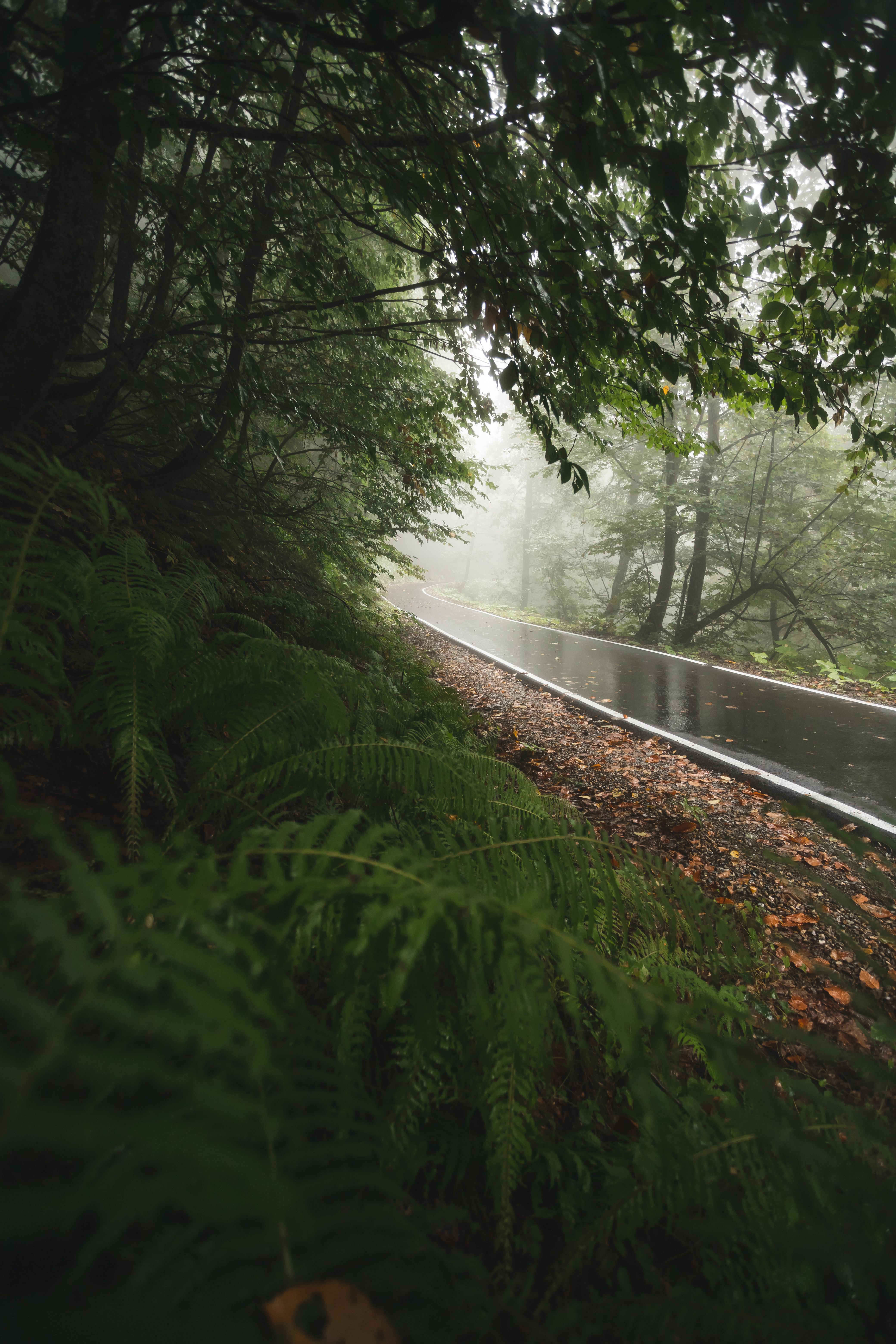Pacific Northwest Vibes Photos, Download The BEST Free Pacific ...
