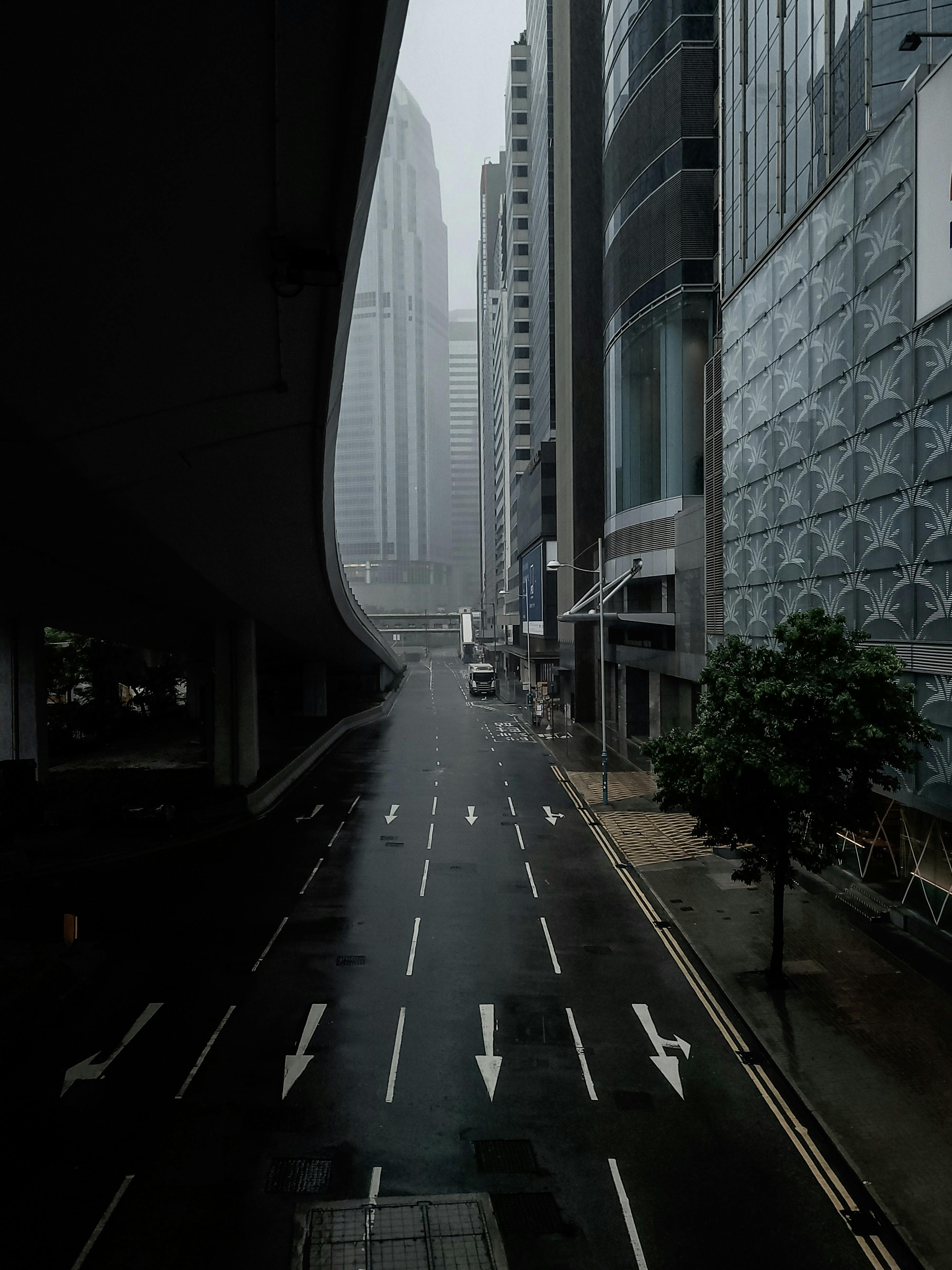 Stuart Rankin - Fotografía