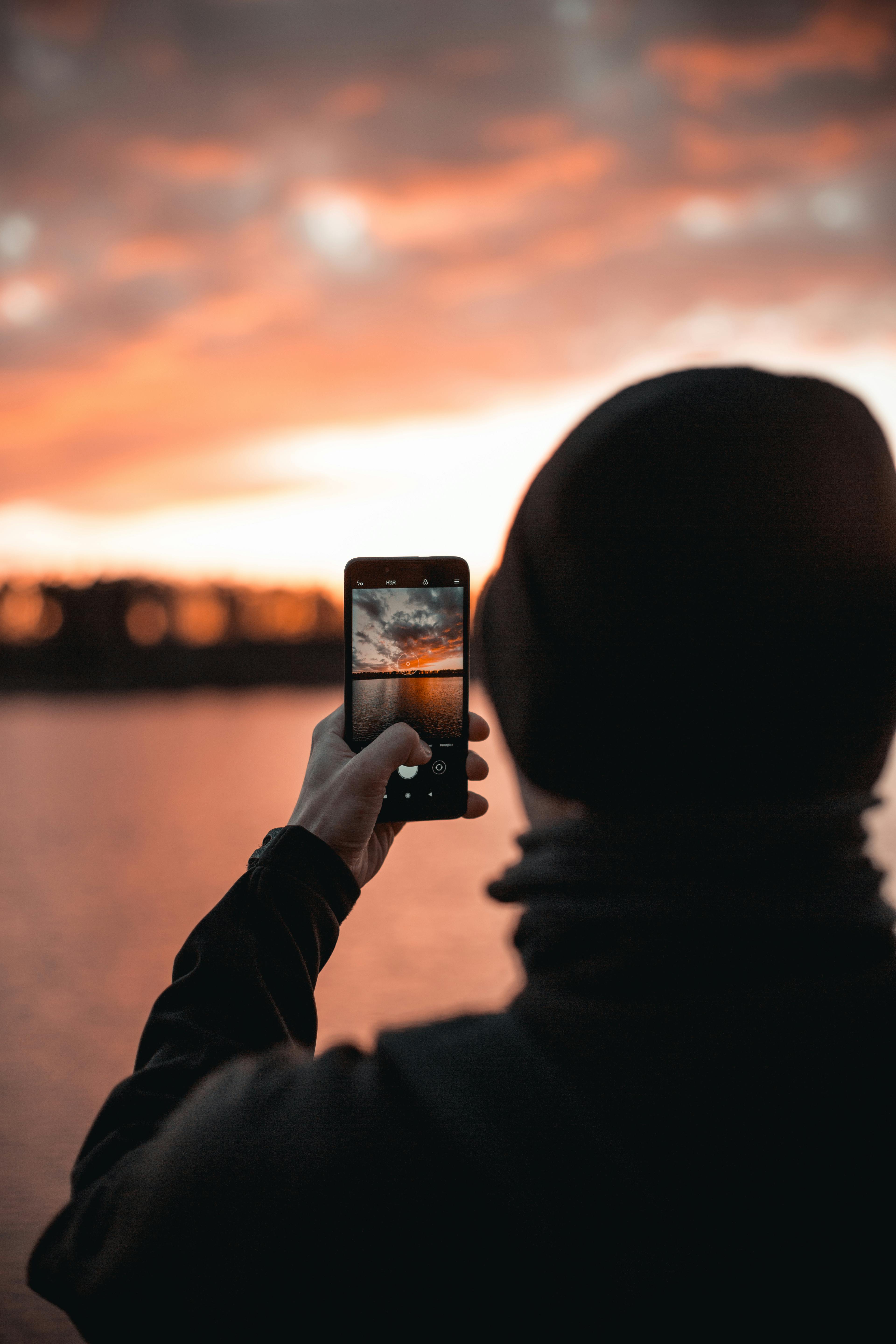 Woman Taking Pictures of Flying Birds · Free Stock Photo