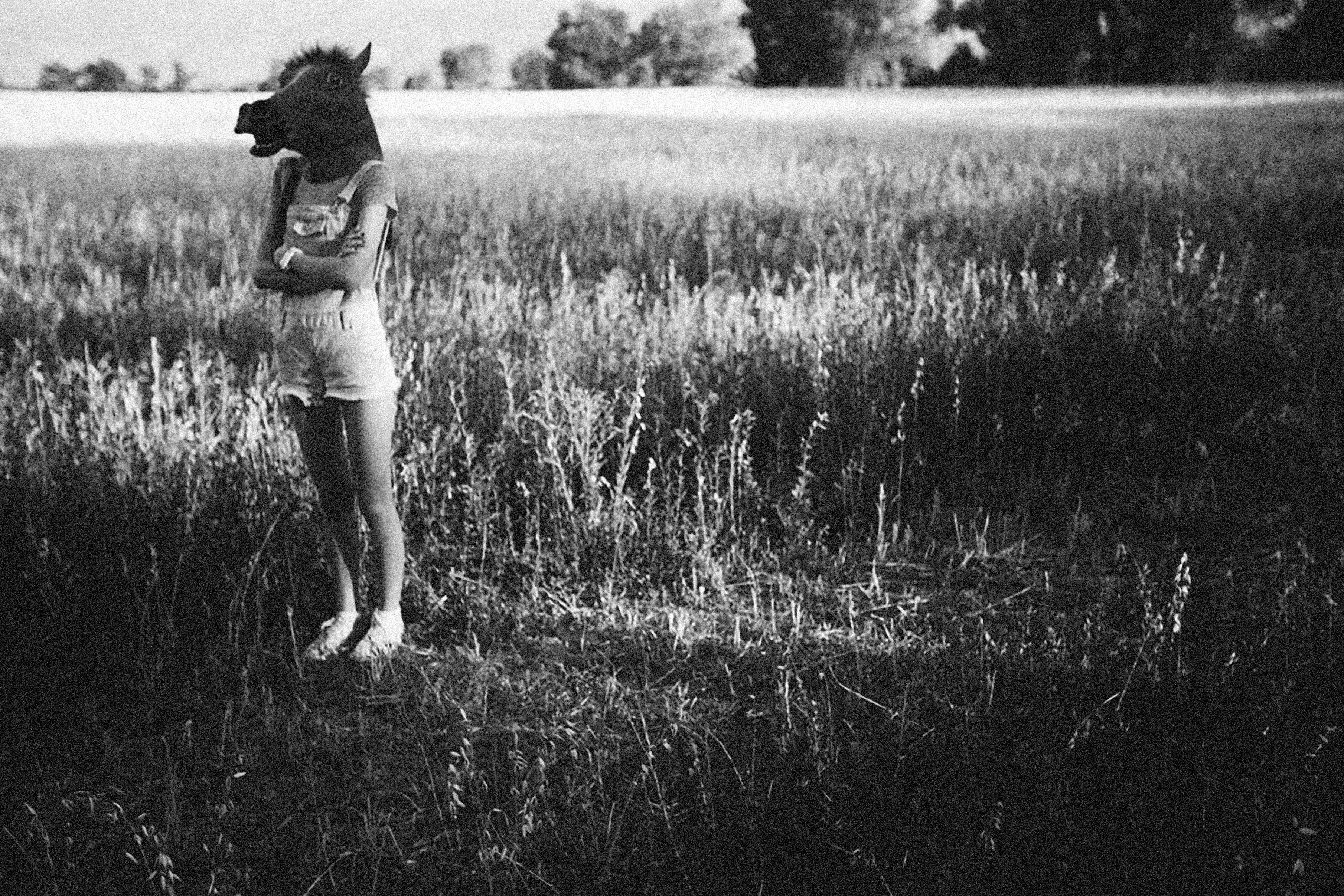 Peculiar Photos, Download The BEST Free Peculiar Stock Photos & HD Images