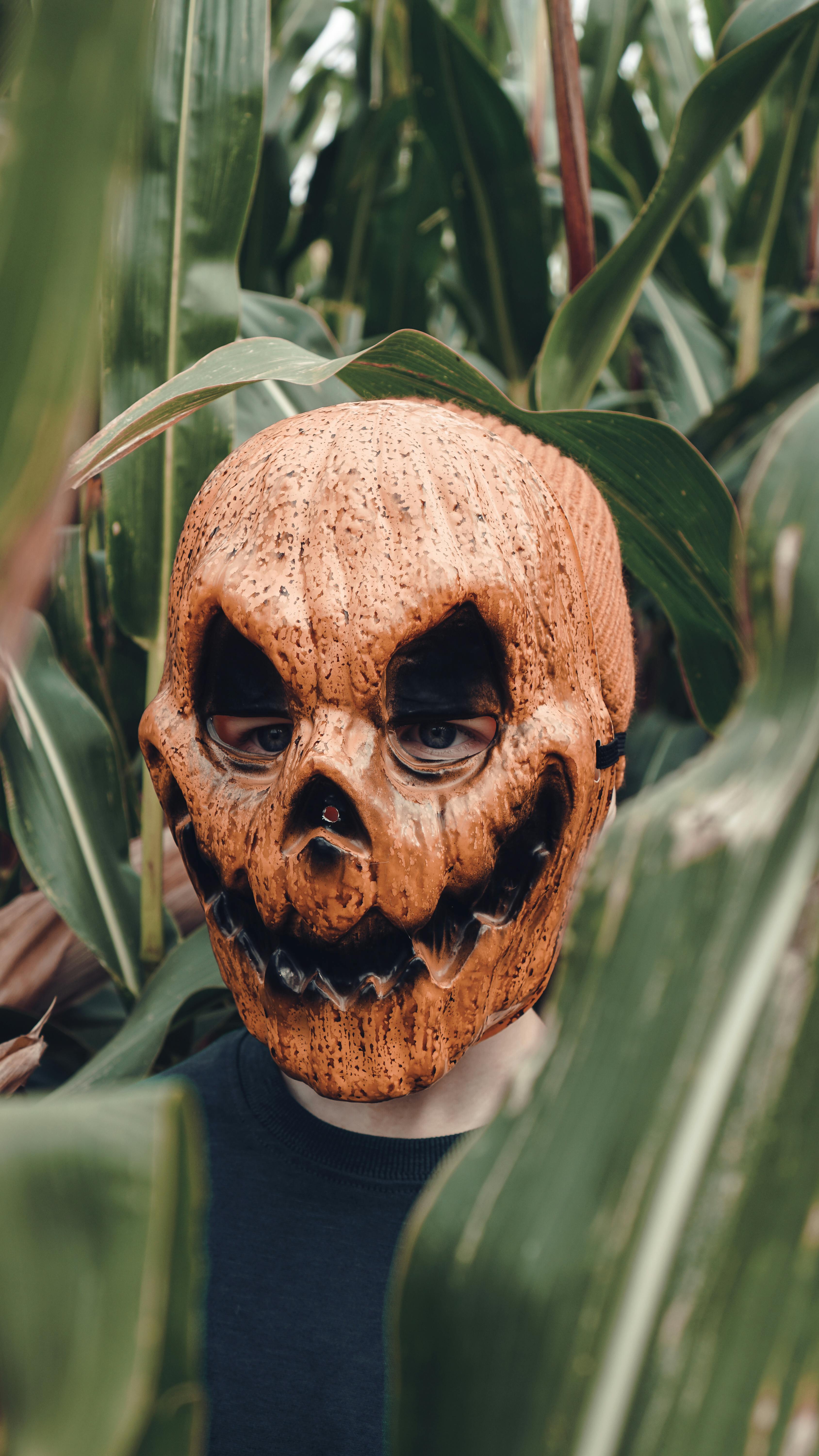Person Wearing a Scary Pumpkin Mask · Free Stock Photo