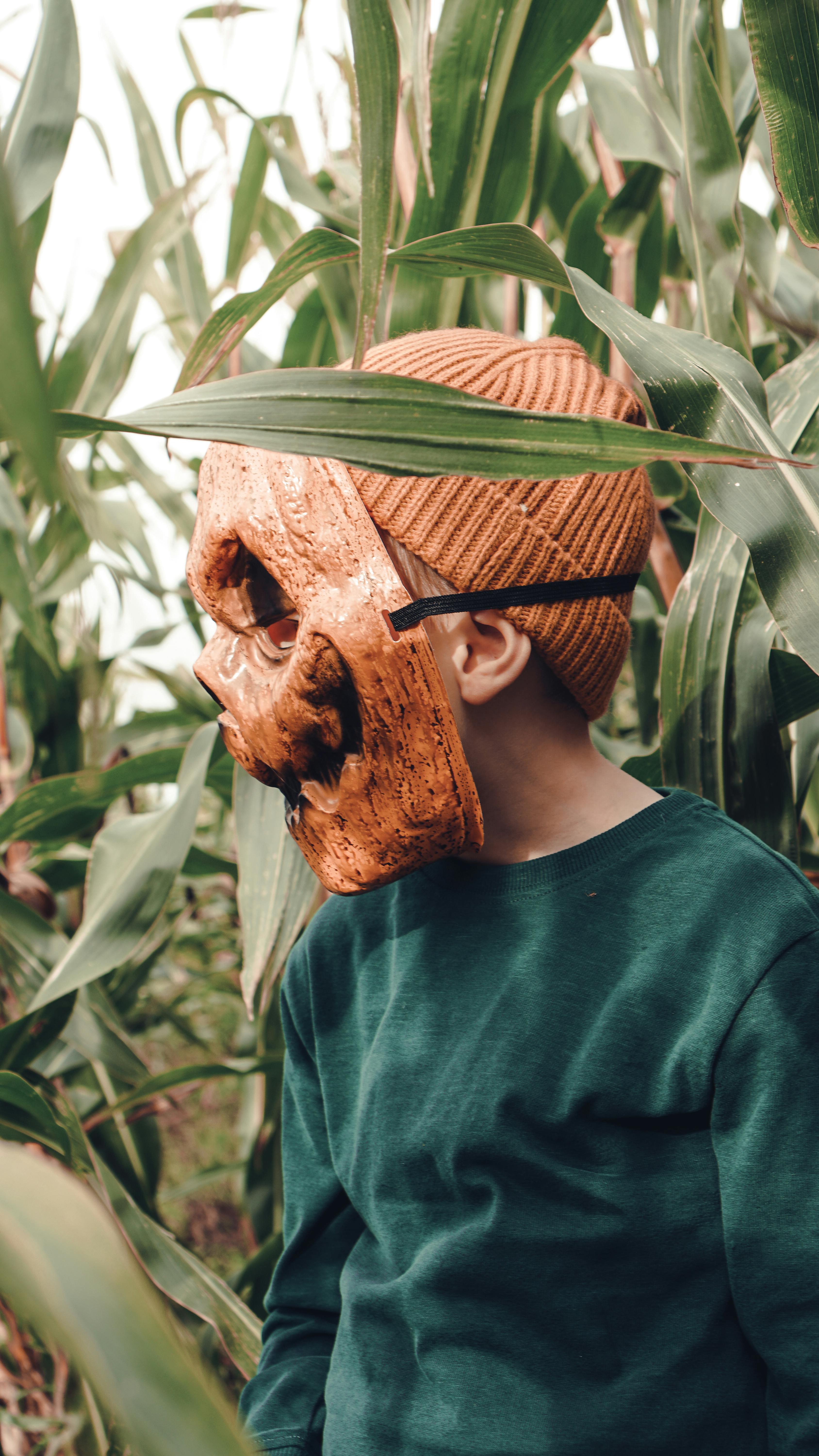 Kids in a Corn Field Wearing Scary Masks · Free Stock Photo