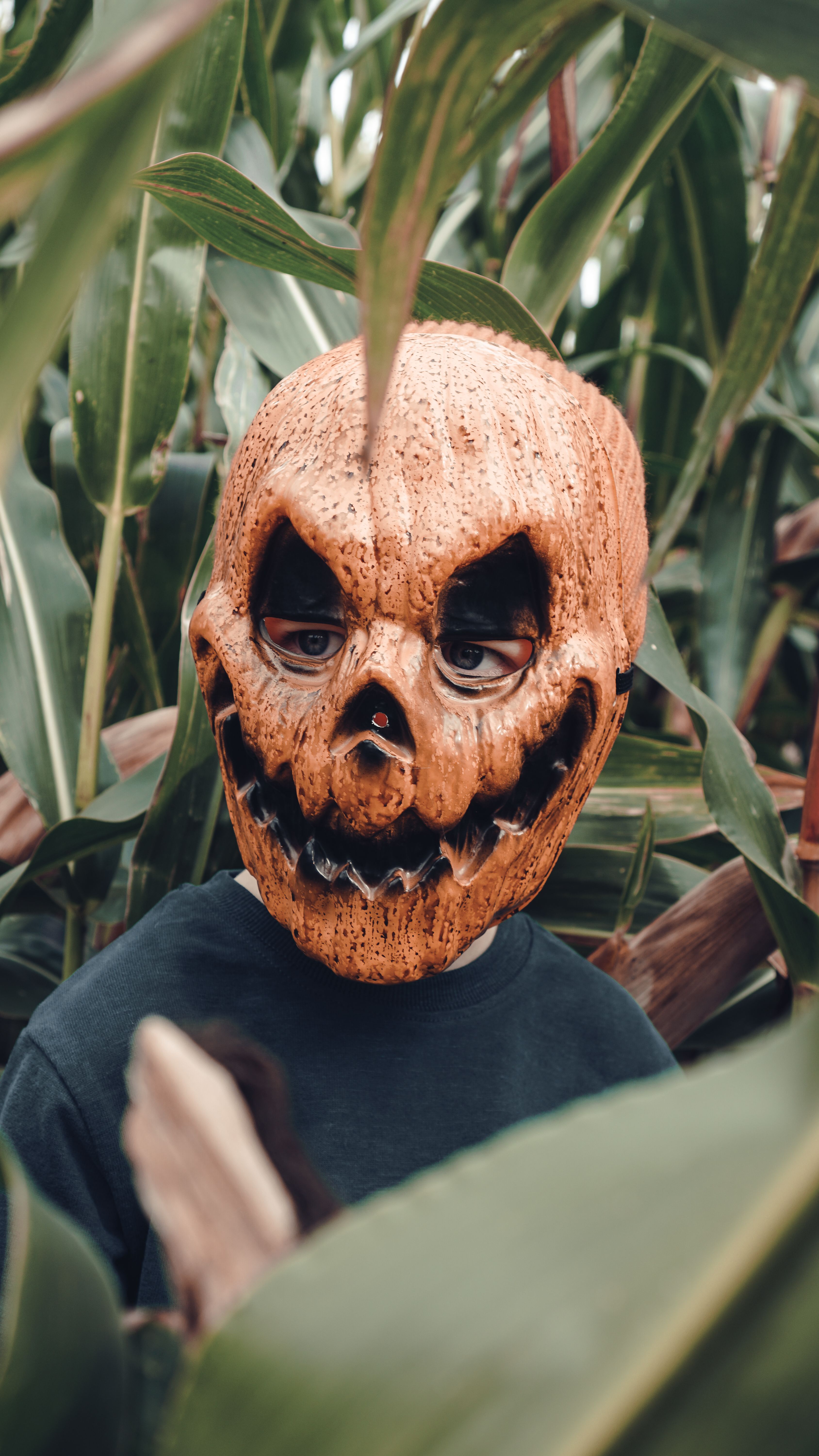 White and Red Mask in Close Up Shot · Free Stock Photo