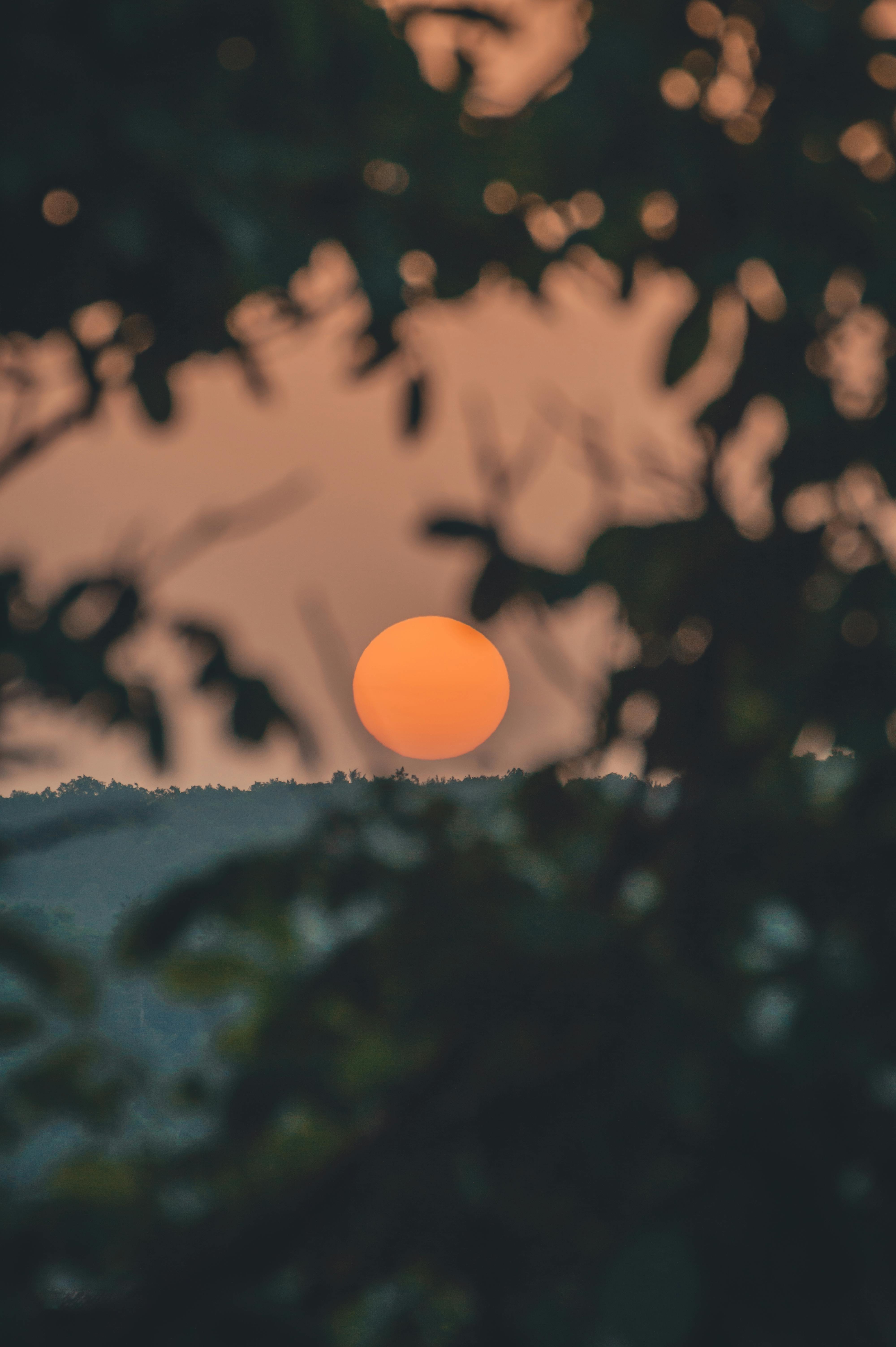 Receding Light Photos, Download The BEST Free Receding Light Stock ...