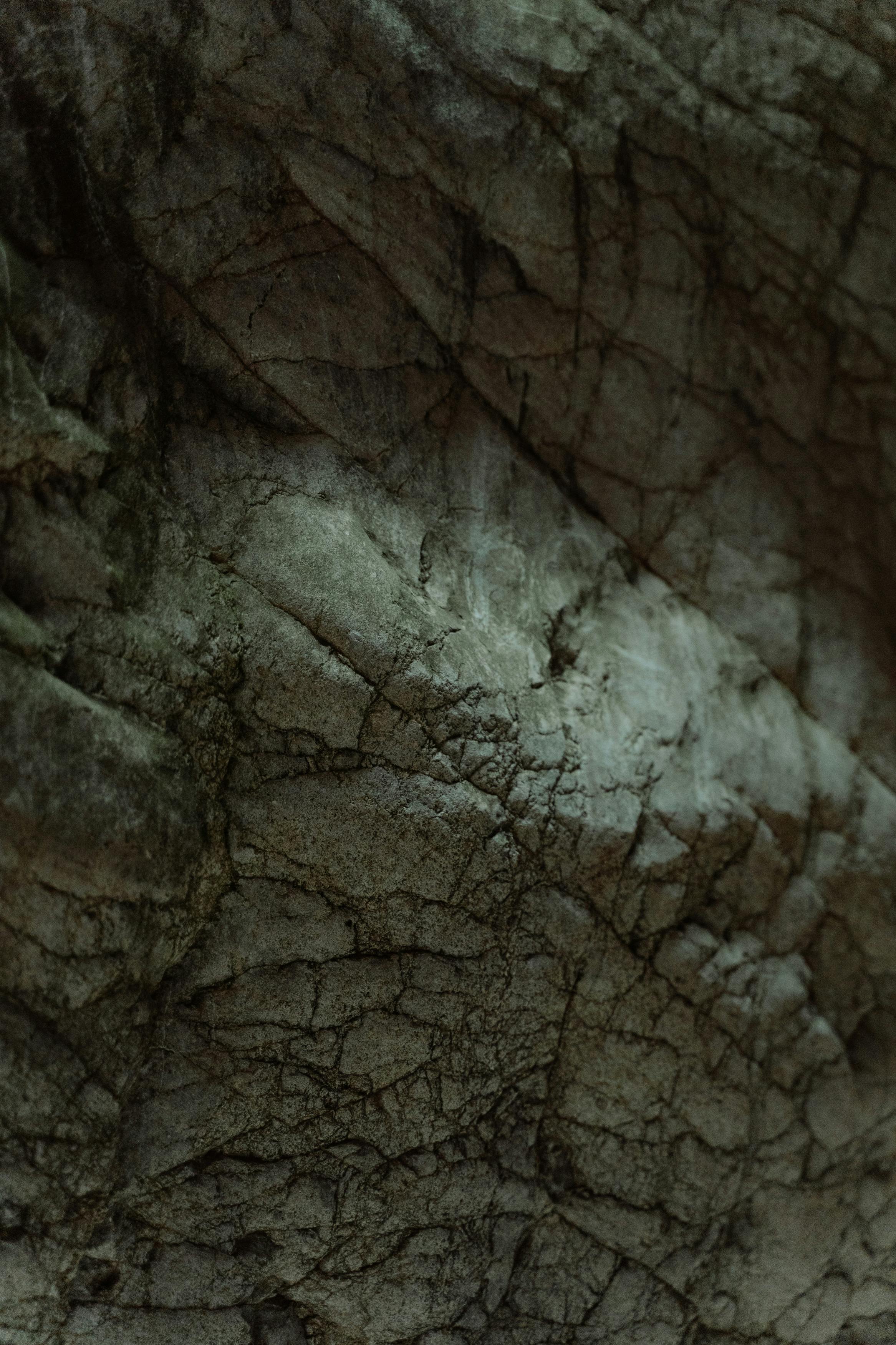 Cave Texture Photos, Download The BEST Free Cave Texture Stock Photos ...