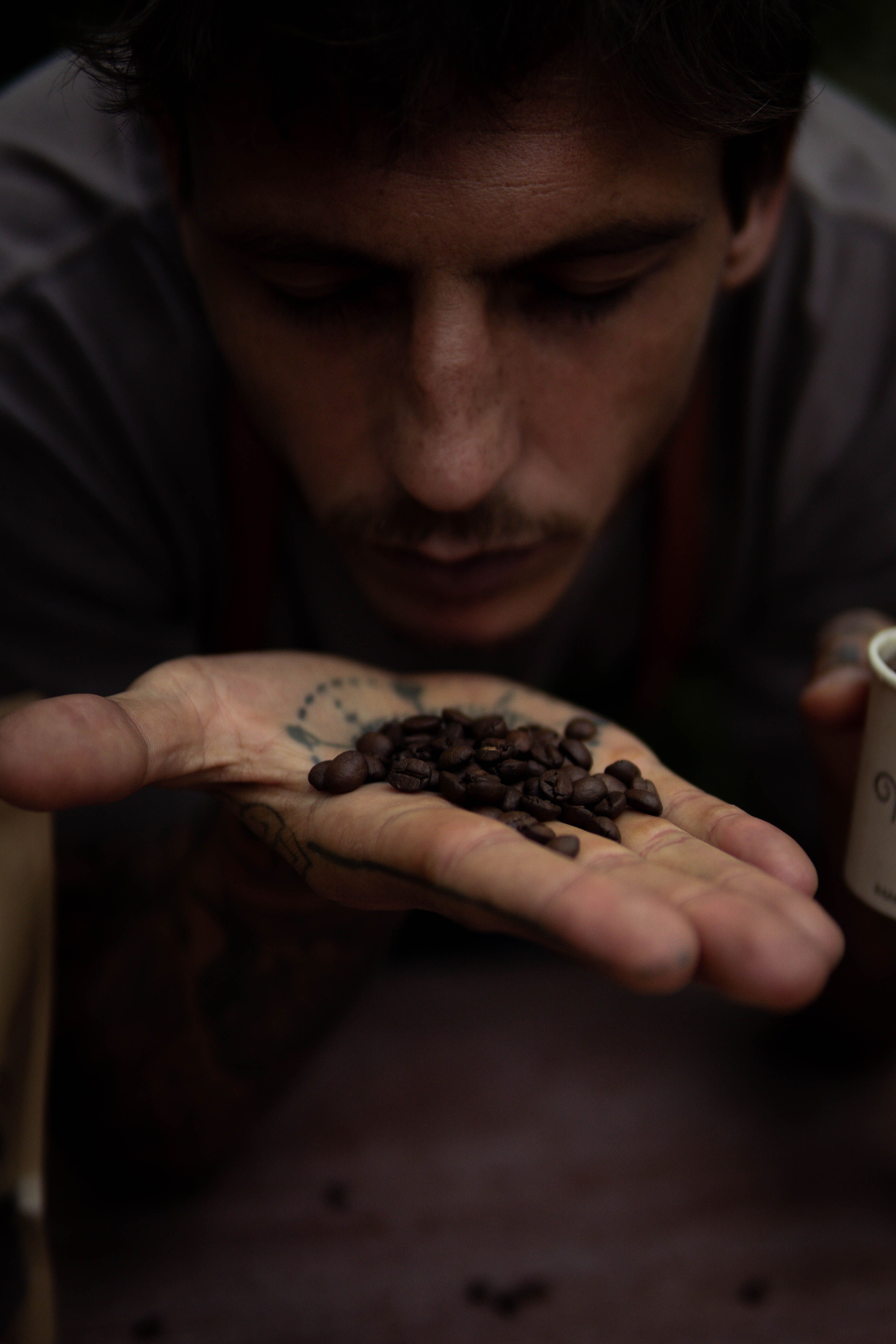 Photo of Nuts on Person's Hand · Free Stock Photo