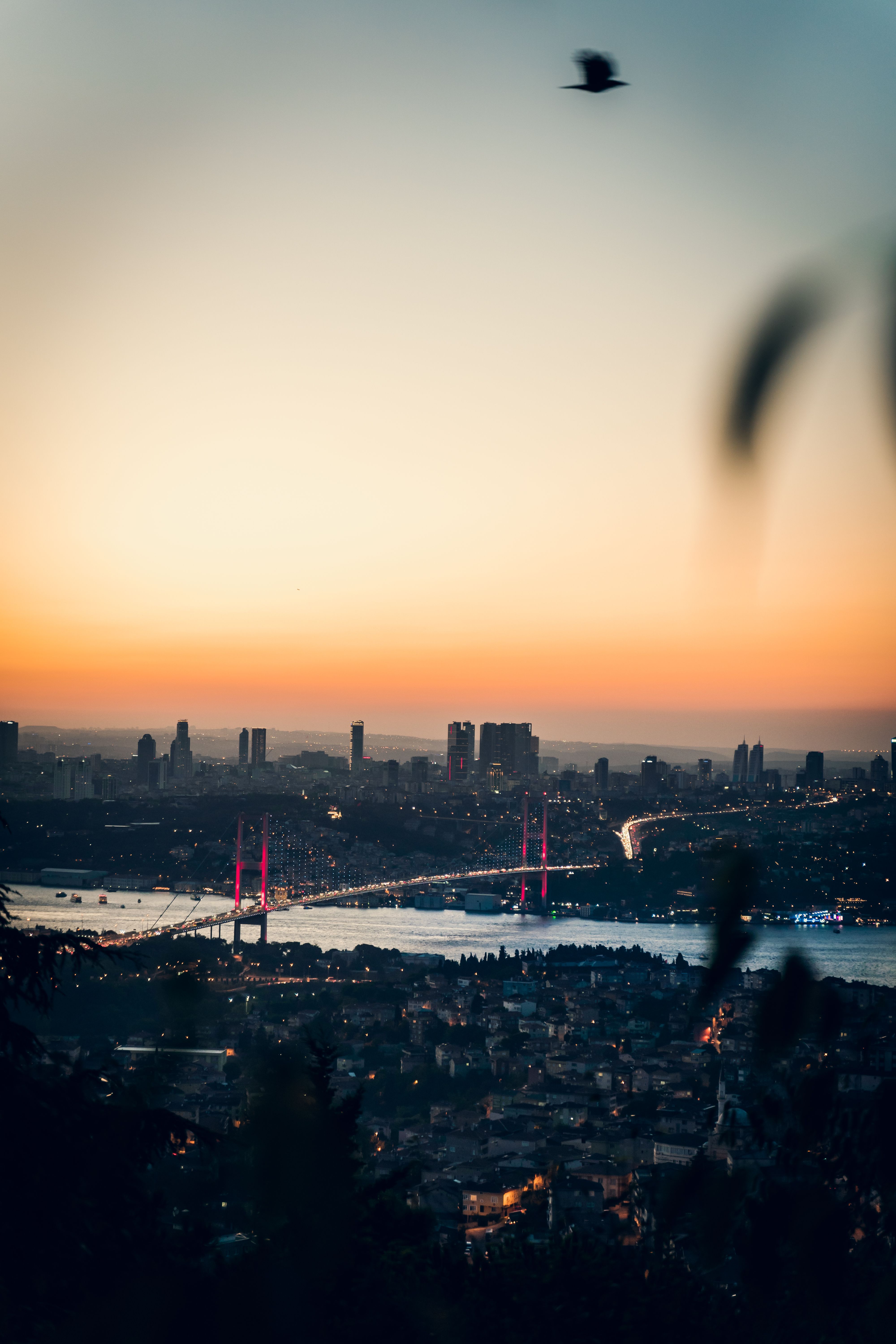 Aerial Photography of City Skyline During Sunset · Free Stock Photo