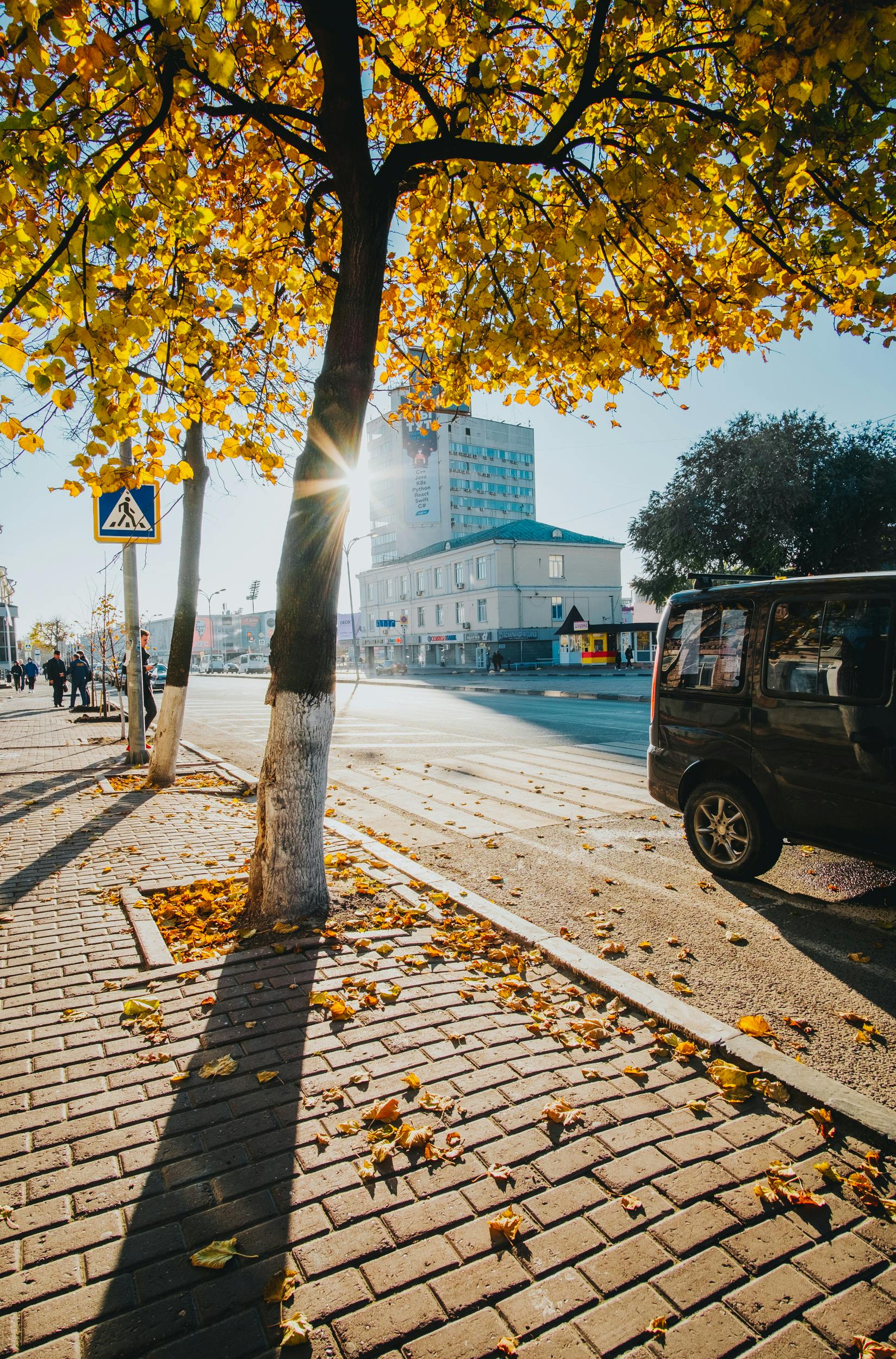 A Photo of the Road During Daytime · Free Stock Photo