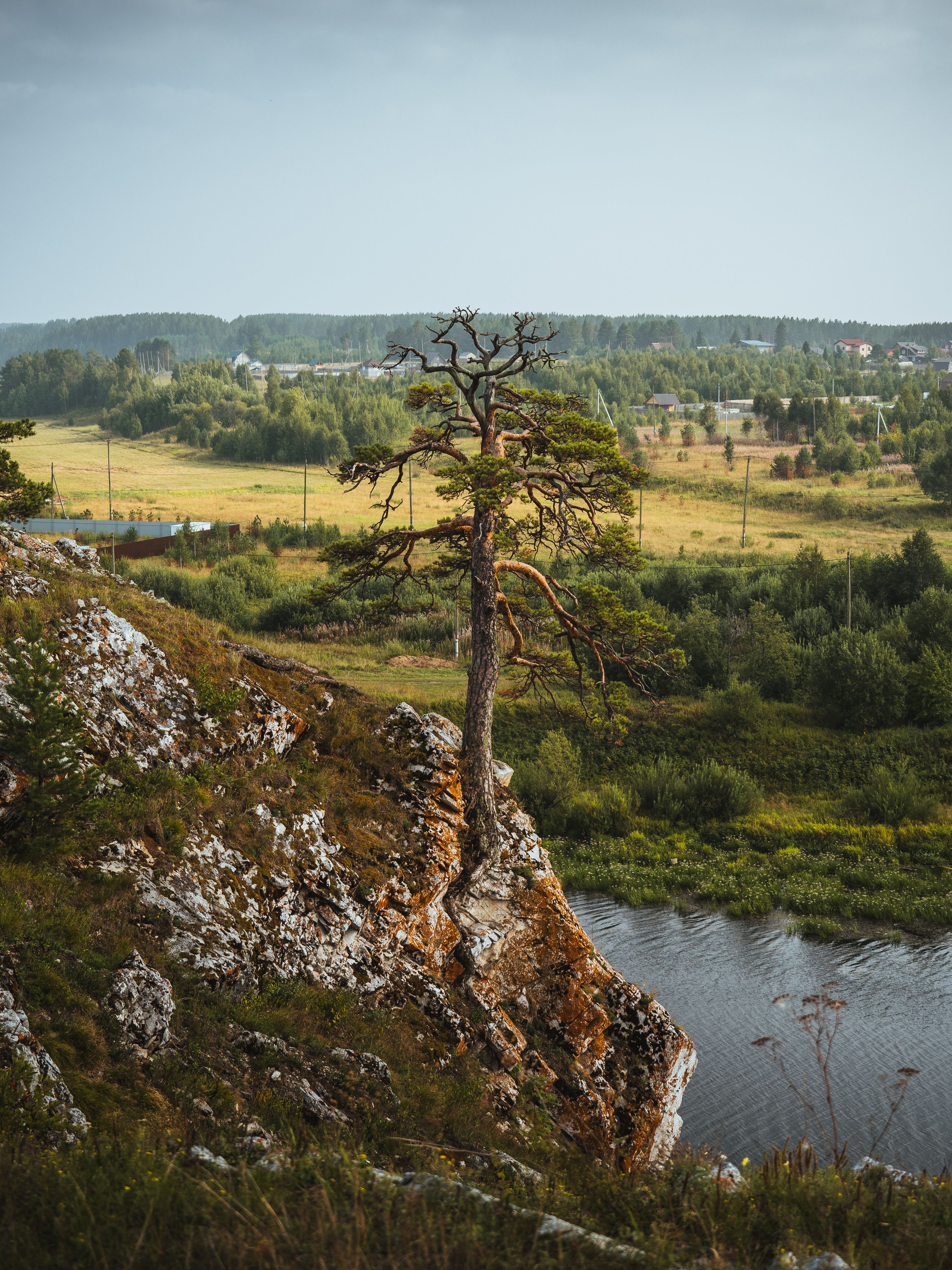 Aerial View of River in Between Rock Cliffs · Free Stock Photo