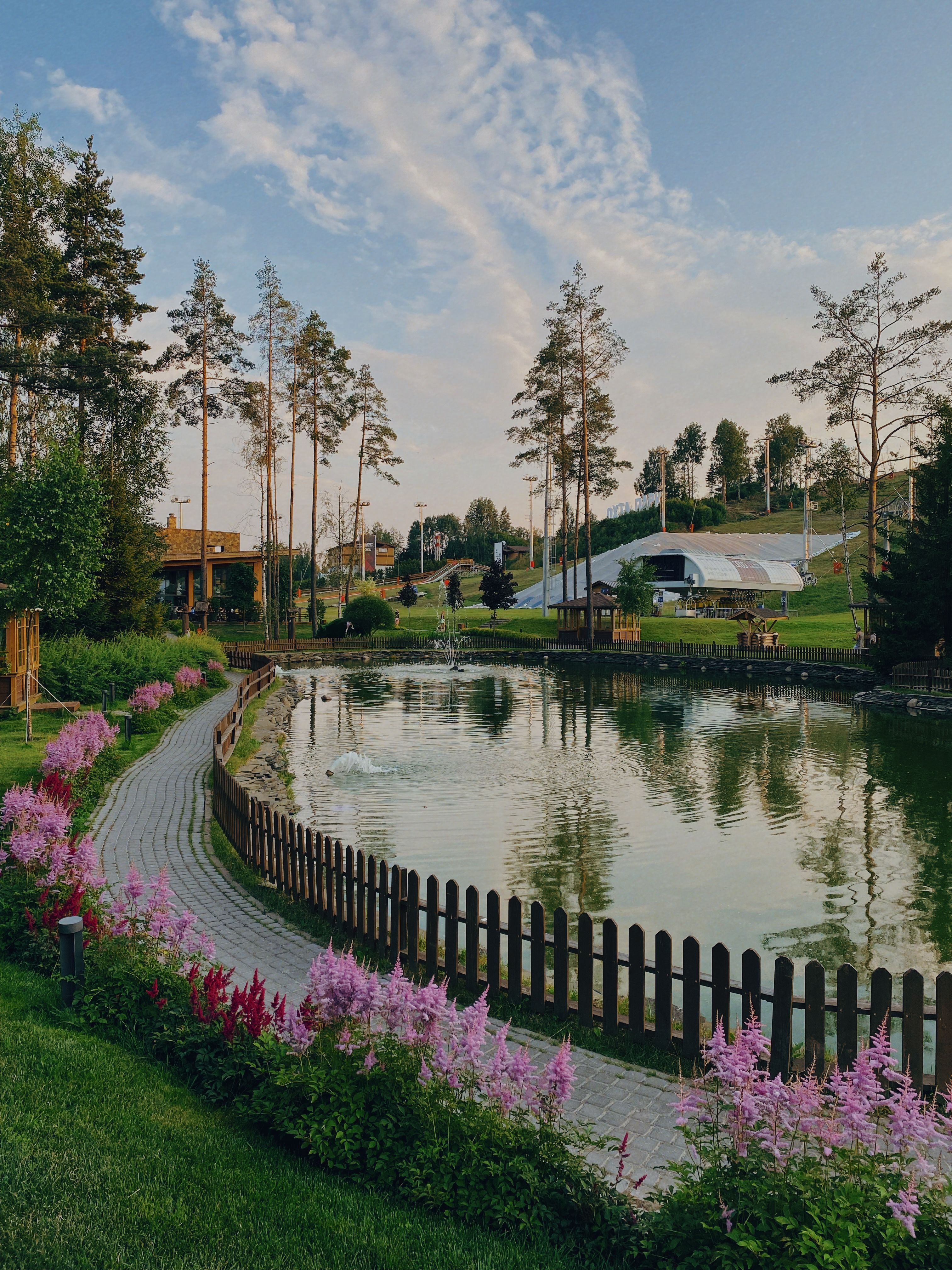Paved Walkway near Pond · Free Stock Photo