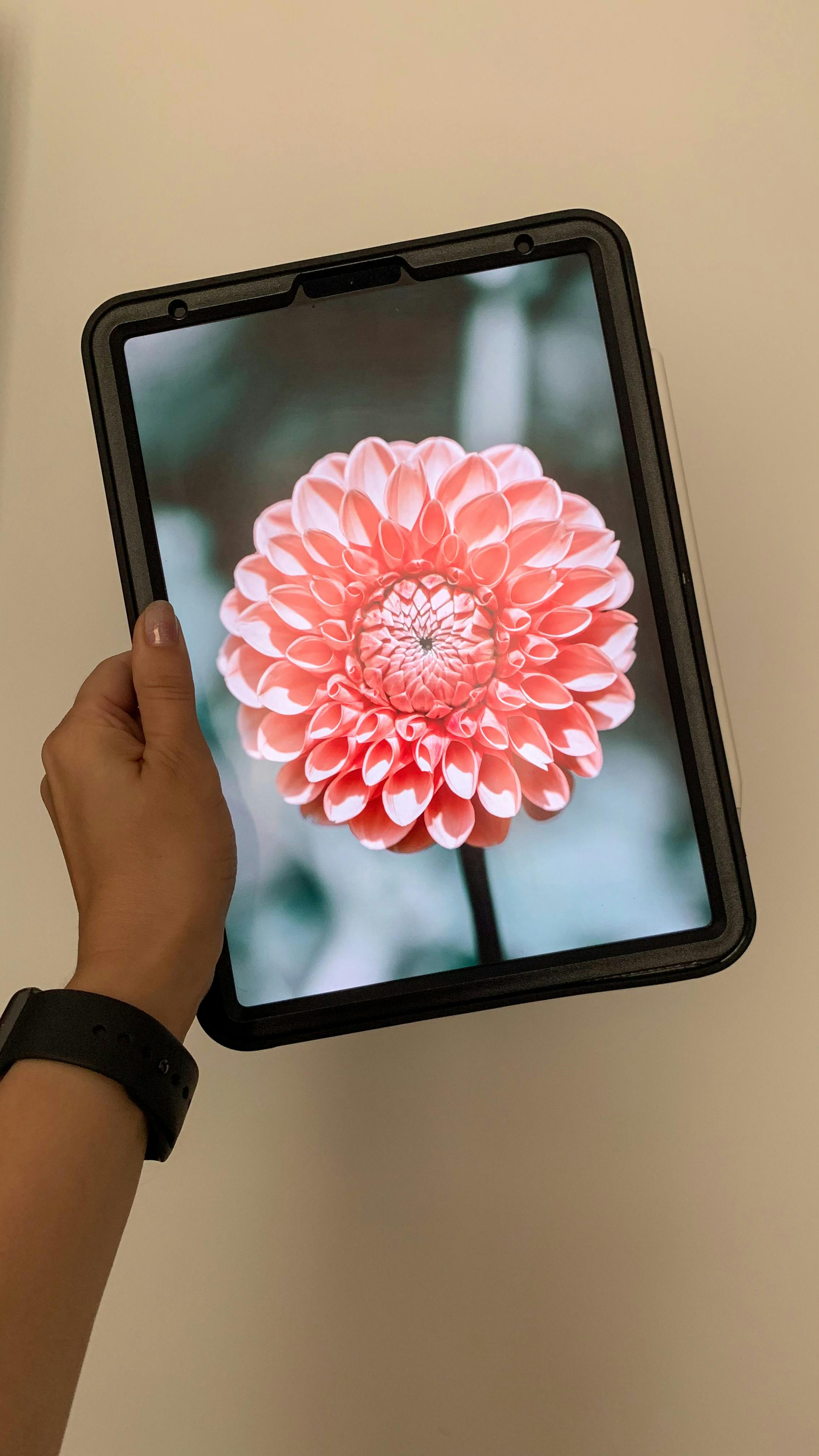 White Ipad on White Background Beside Blooming Flowers · Free Stock Photo