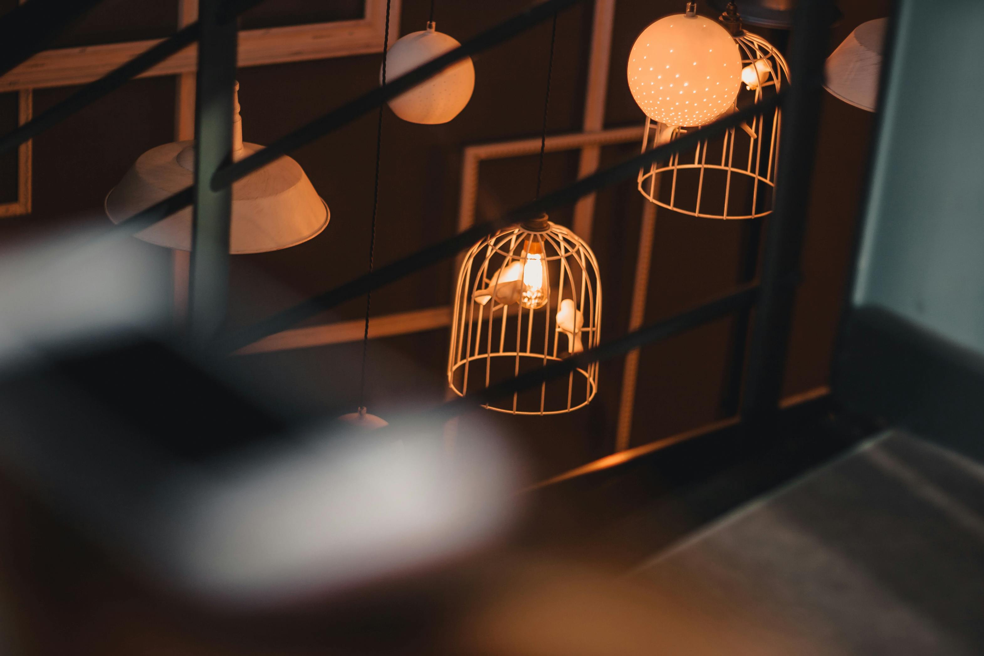 200,000+ Best Indoor Birds Photos · 100% Free Download · Pexels Stock ...