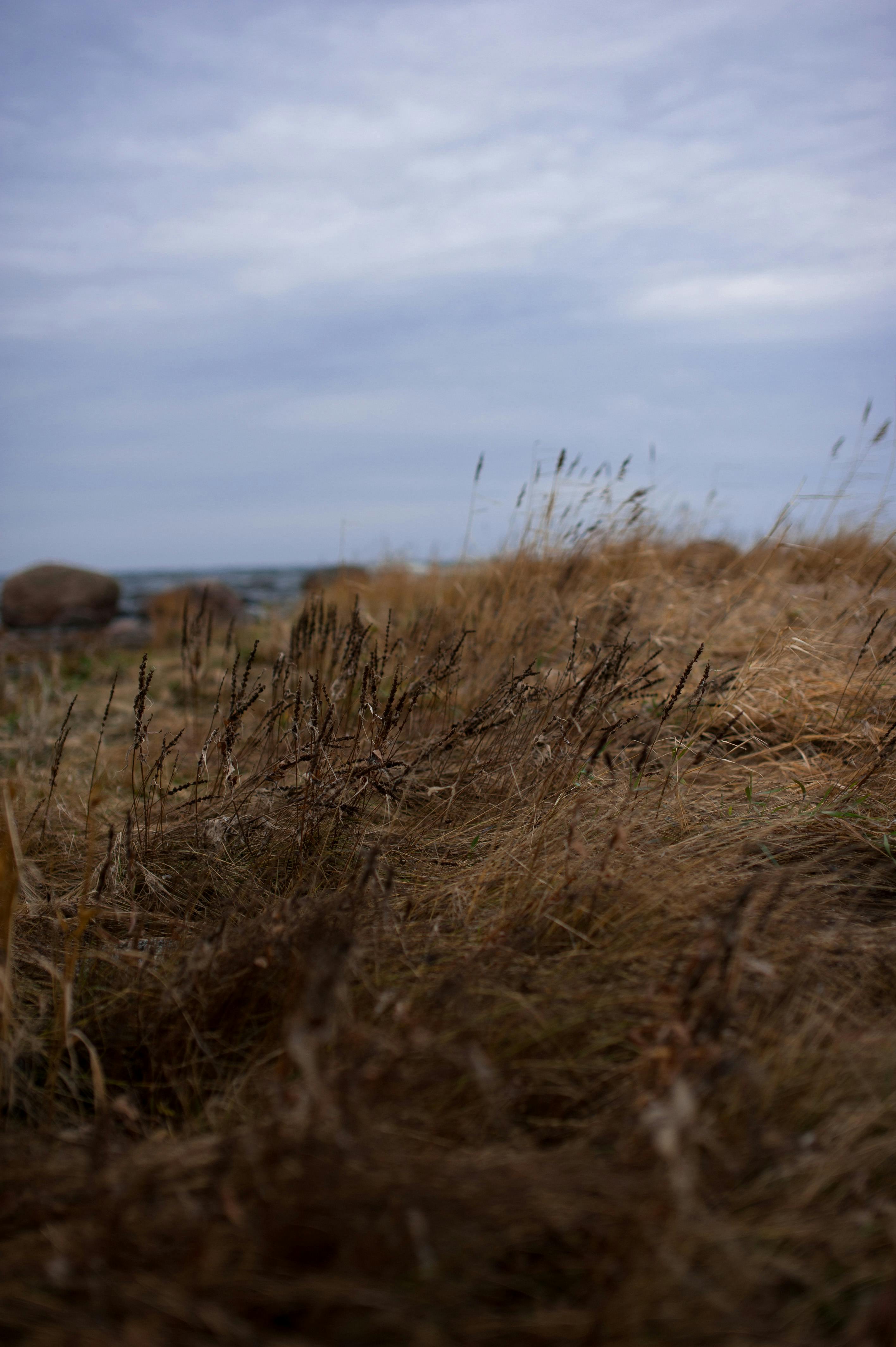 Close-up Photo of Assorted Colored Chalks · Free Stock Photo