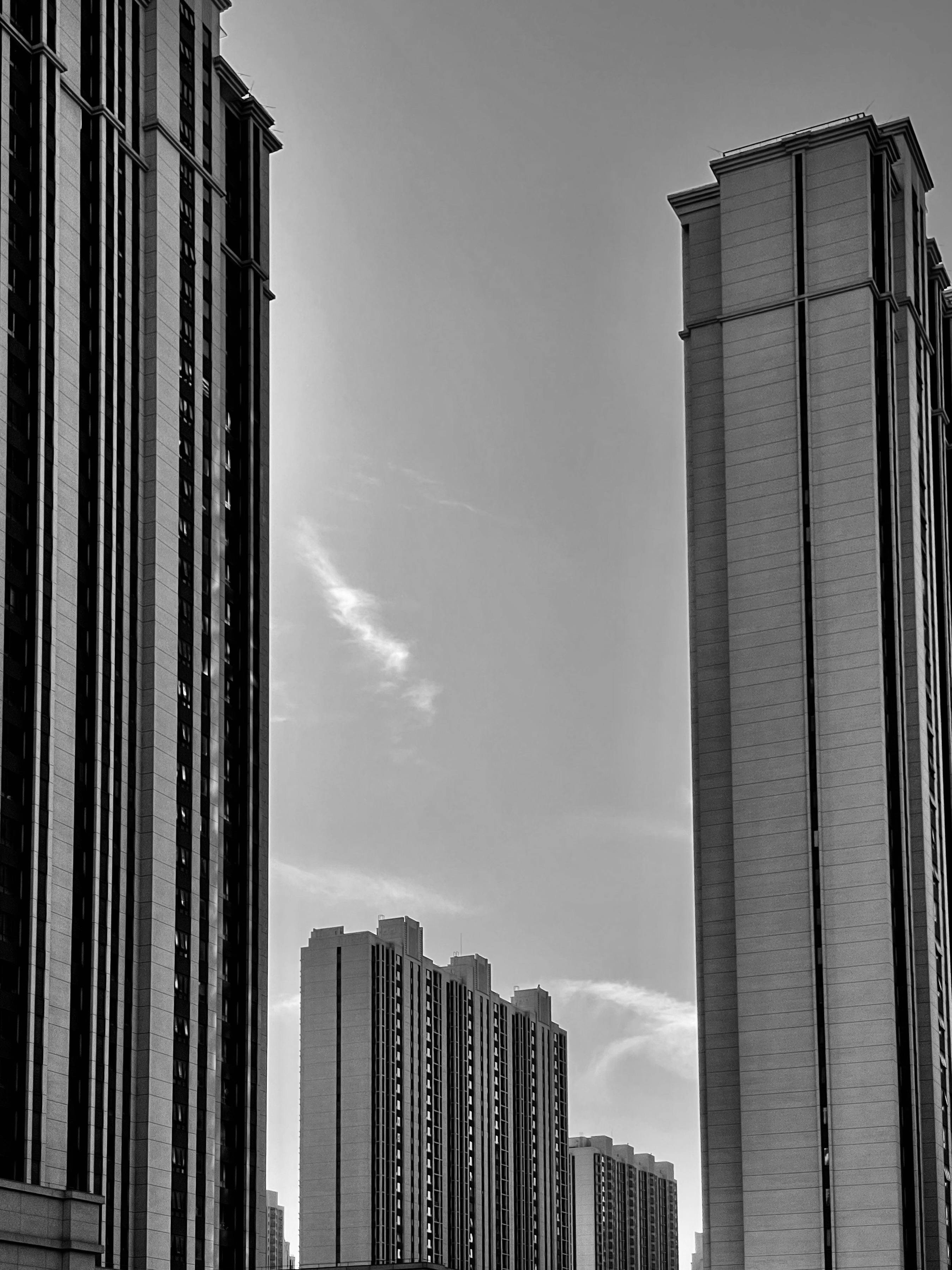 Gray Scale Window Photo · Free Stock Photo