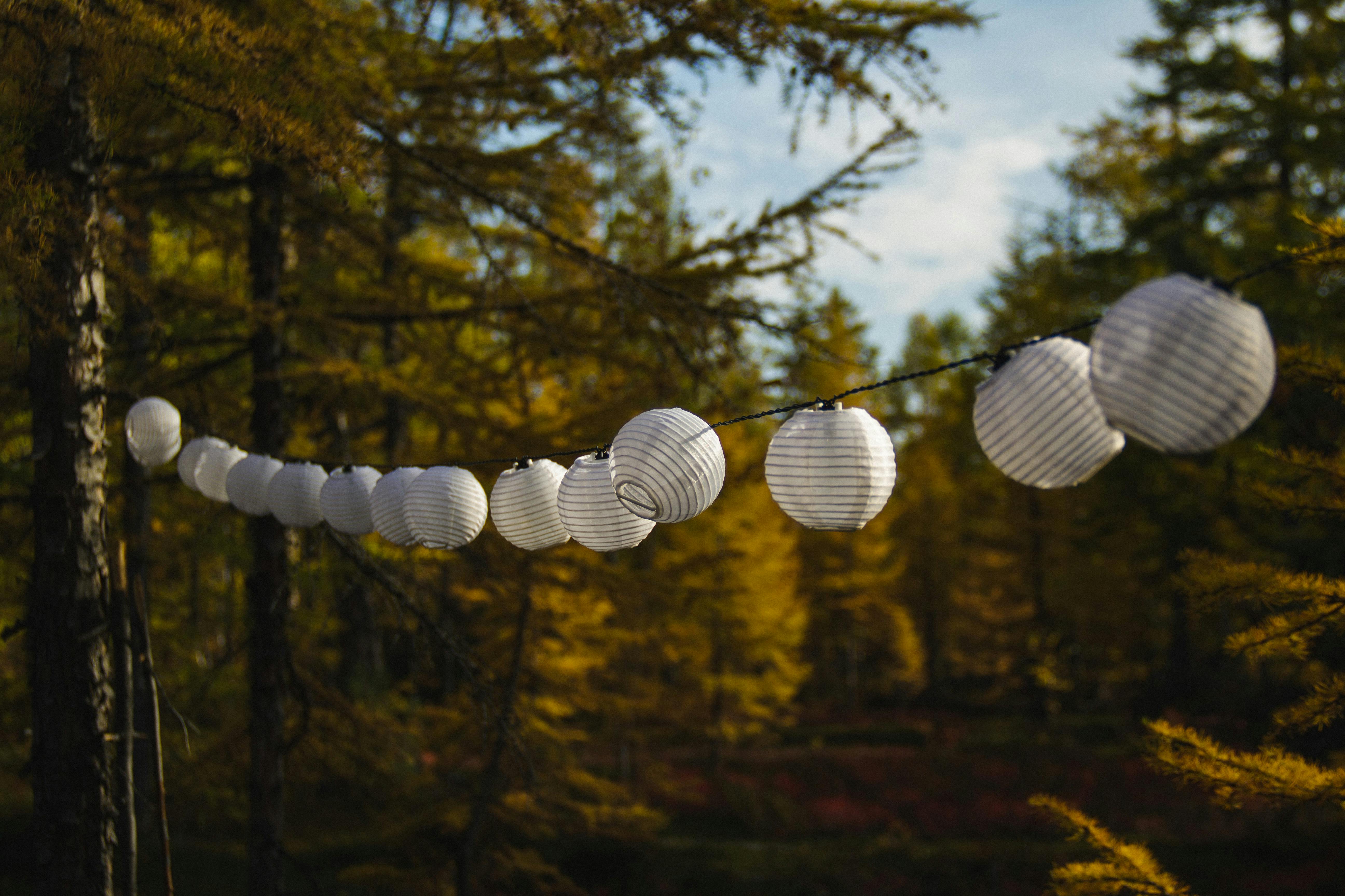 3,193+ Best Free Row Stock Photos & Images · 100% Royalty-Free HD Downloads