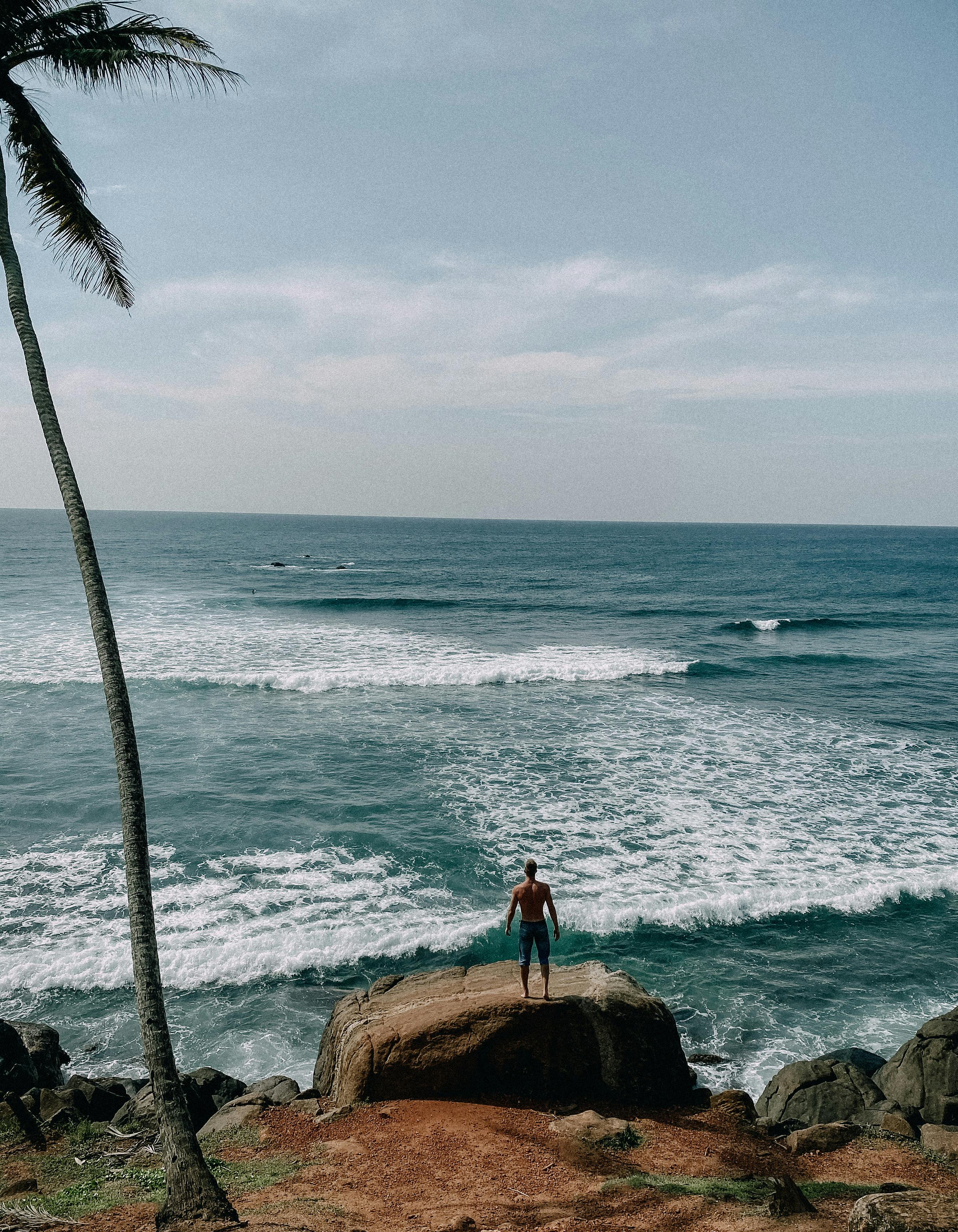 A Man Standing on Boulder Looking at the Ocean · Free Stock Photo