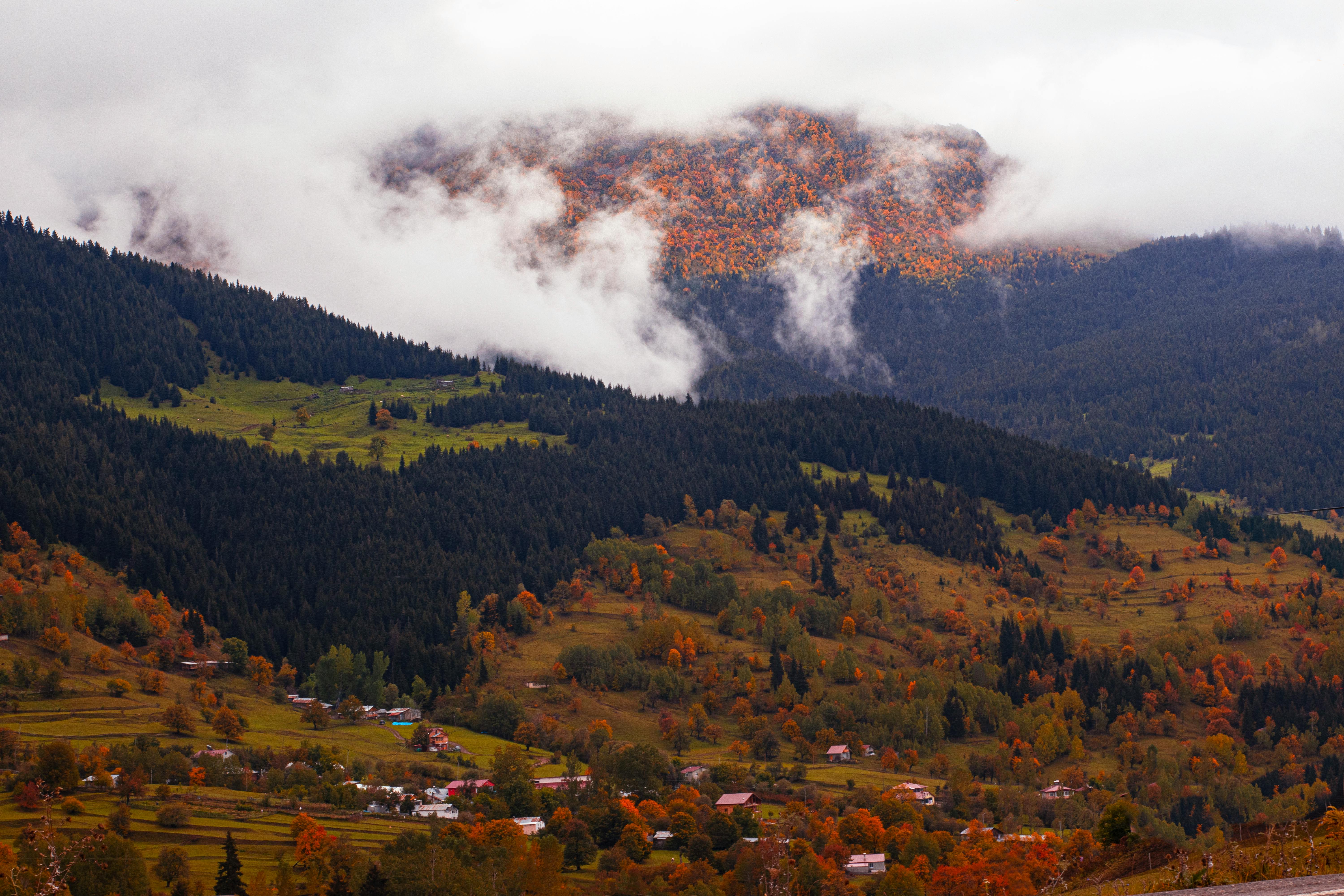 Free stock photo of autumn, cloud, dawn, fall pictures, fog, lake ...