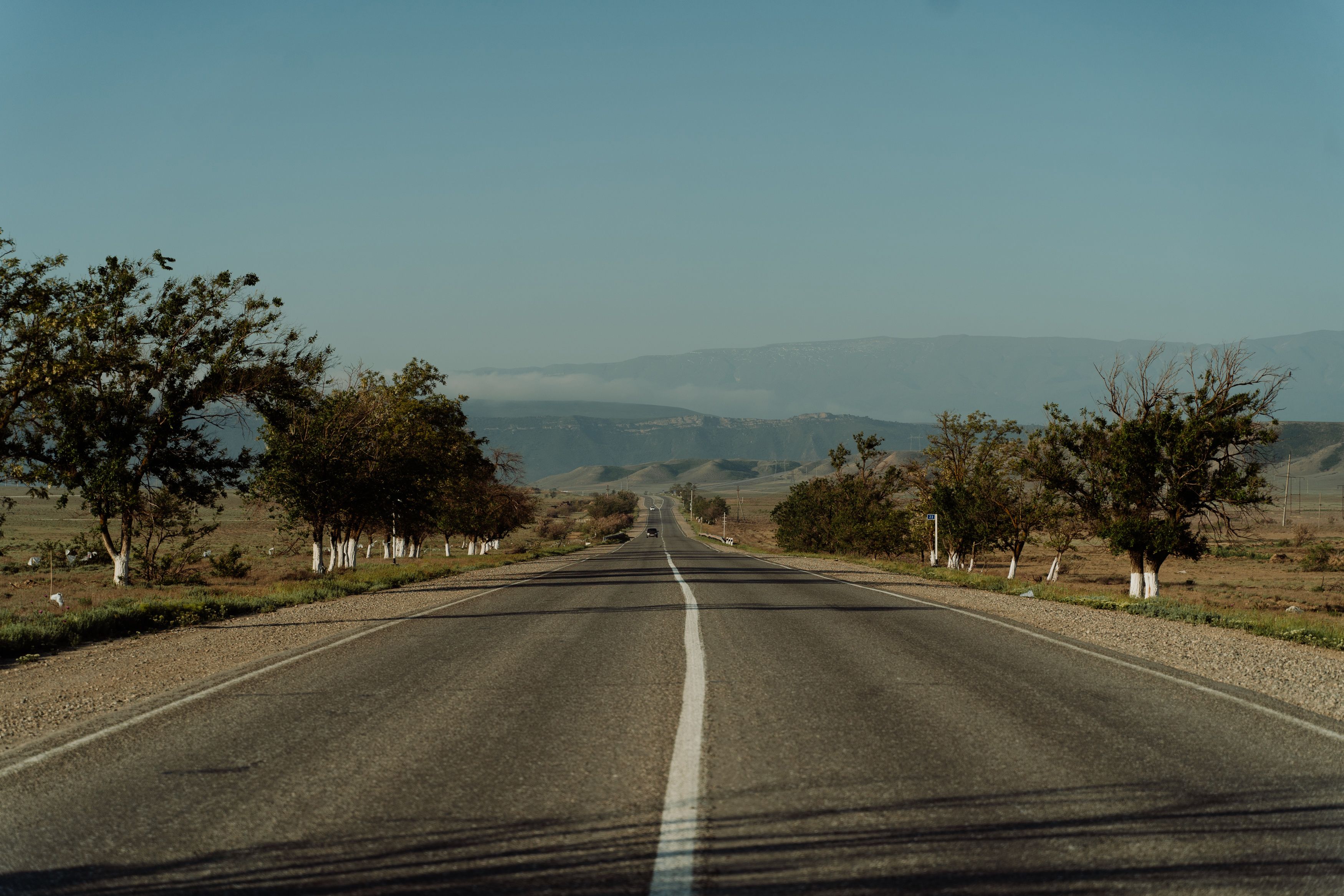 Cars on a Country Road · Free Stock Photo