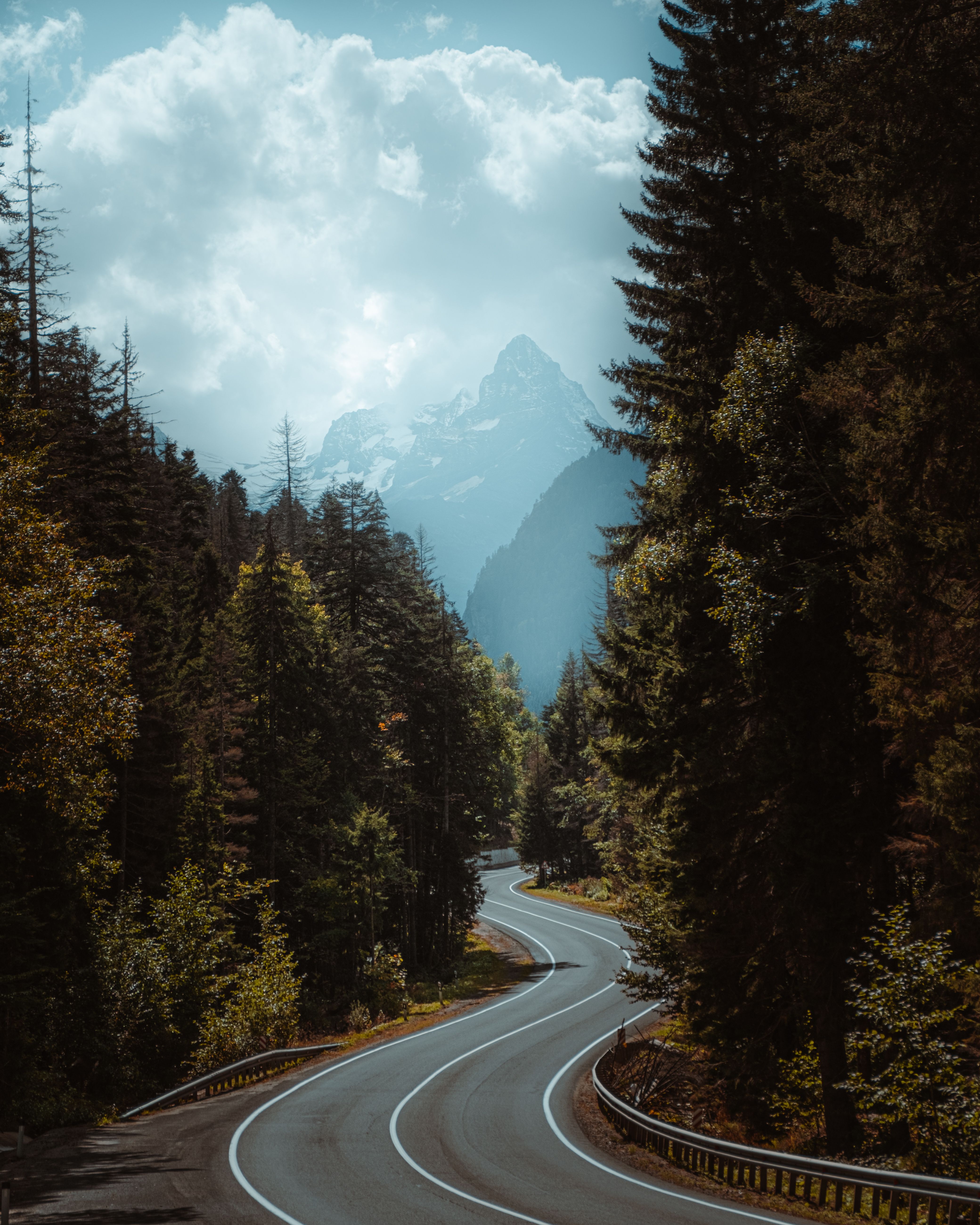 Mountain Road Among Trees · Free Stock Photo
