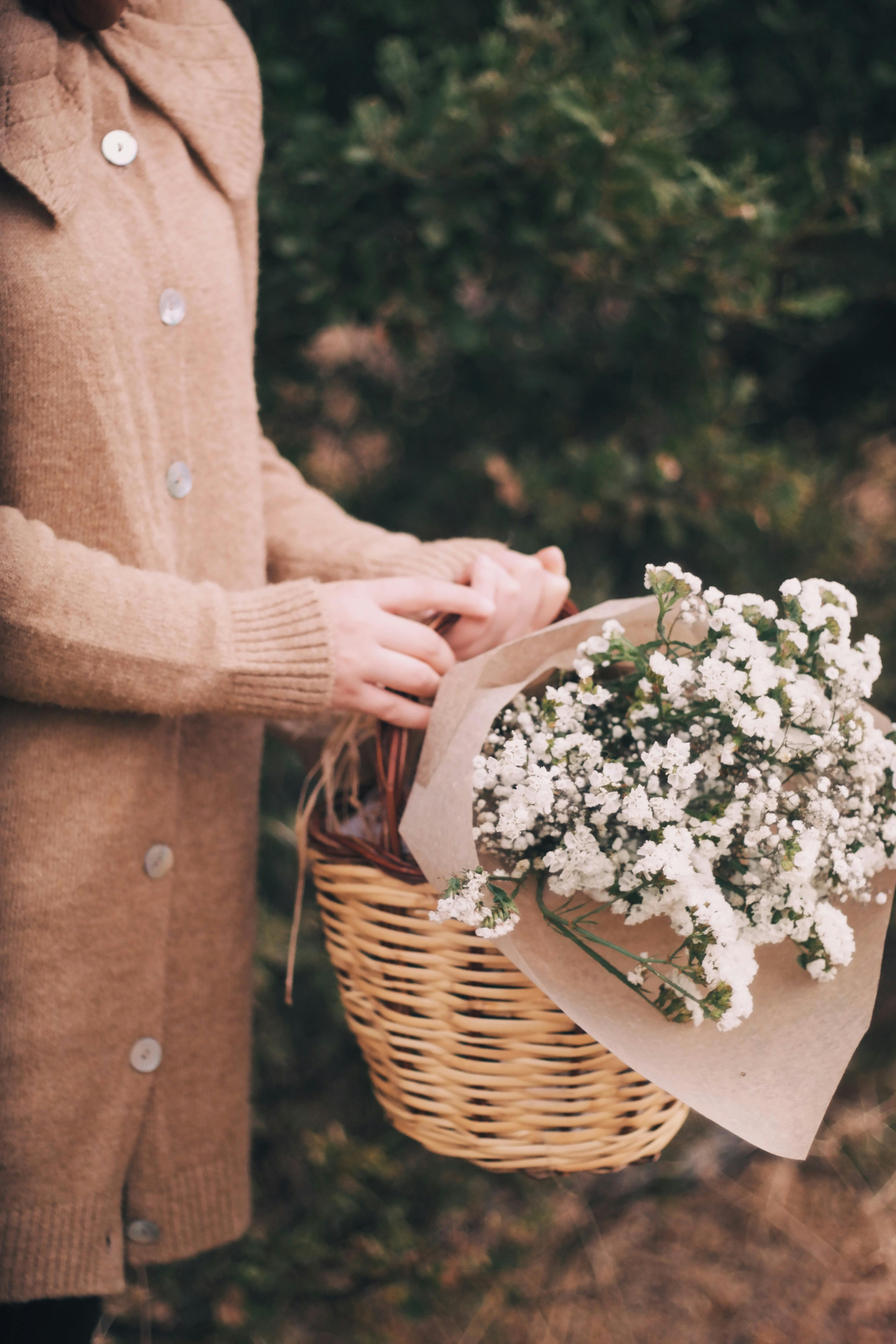 People Carrying Basket Together · Free Stock Photo