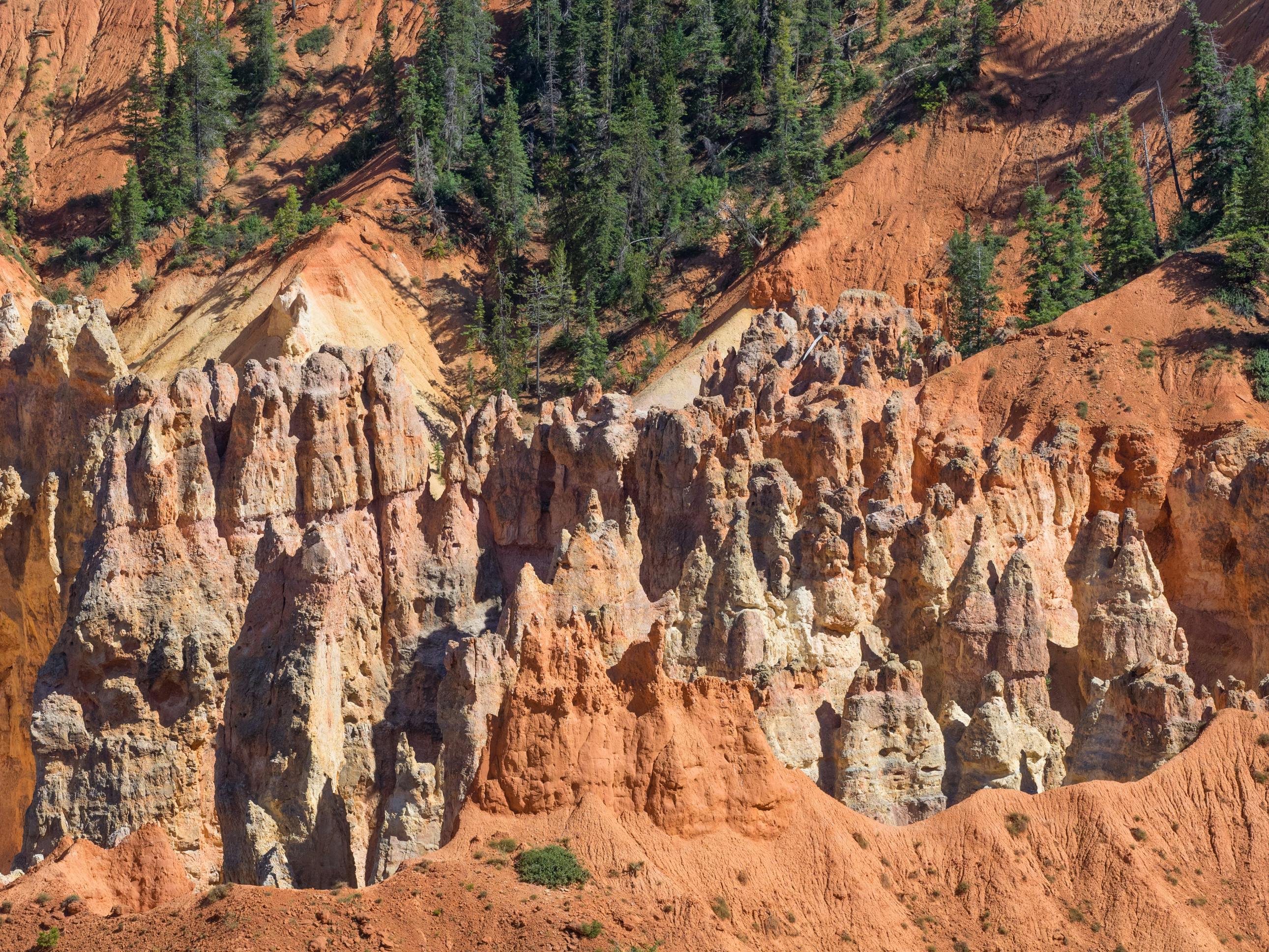Trees over Rock Formations · Free Stock Photo