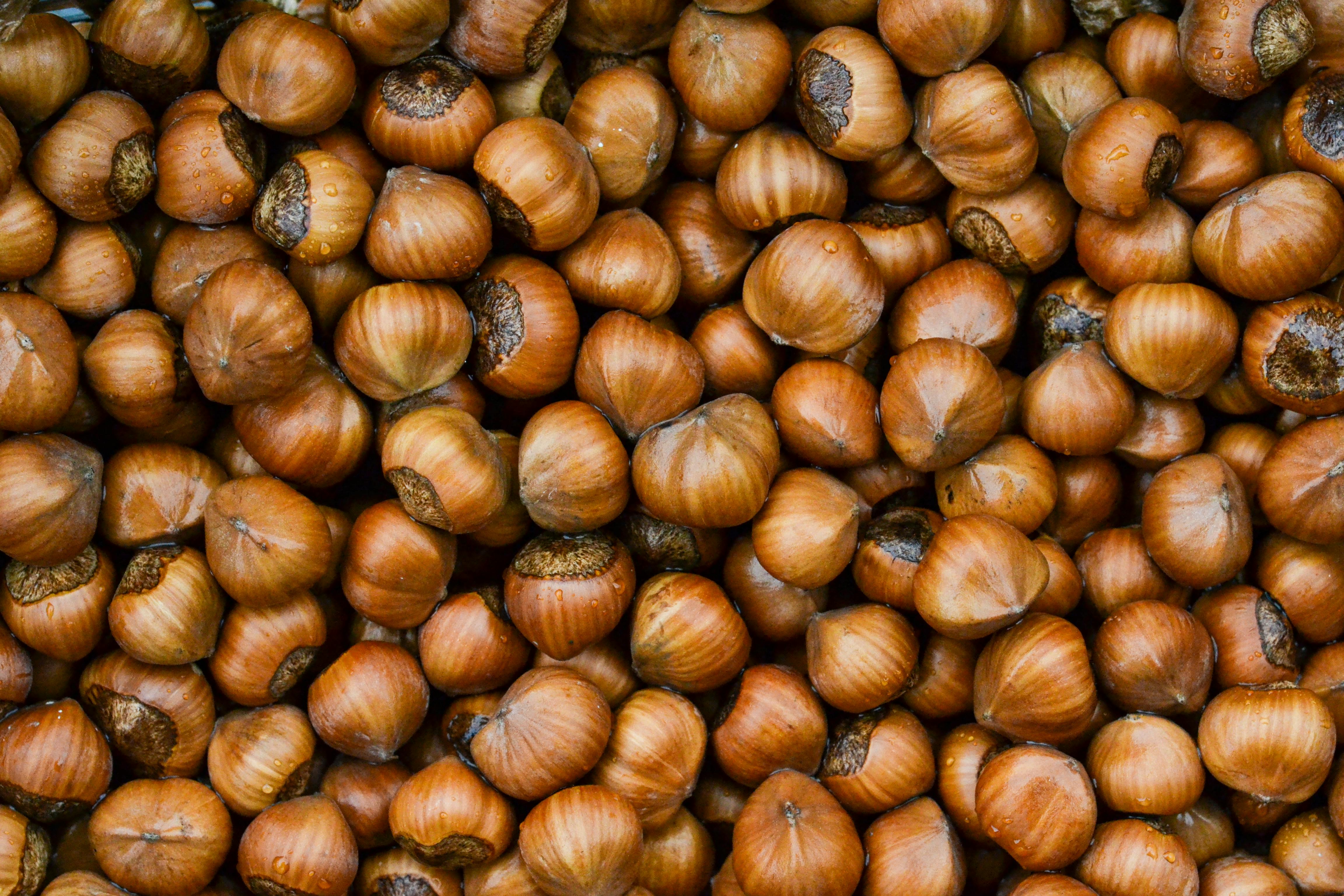Nuts · Free Stock Photo