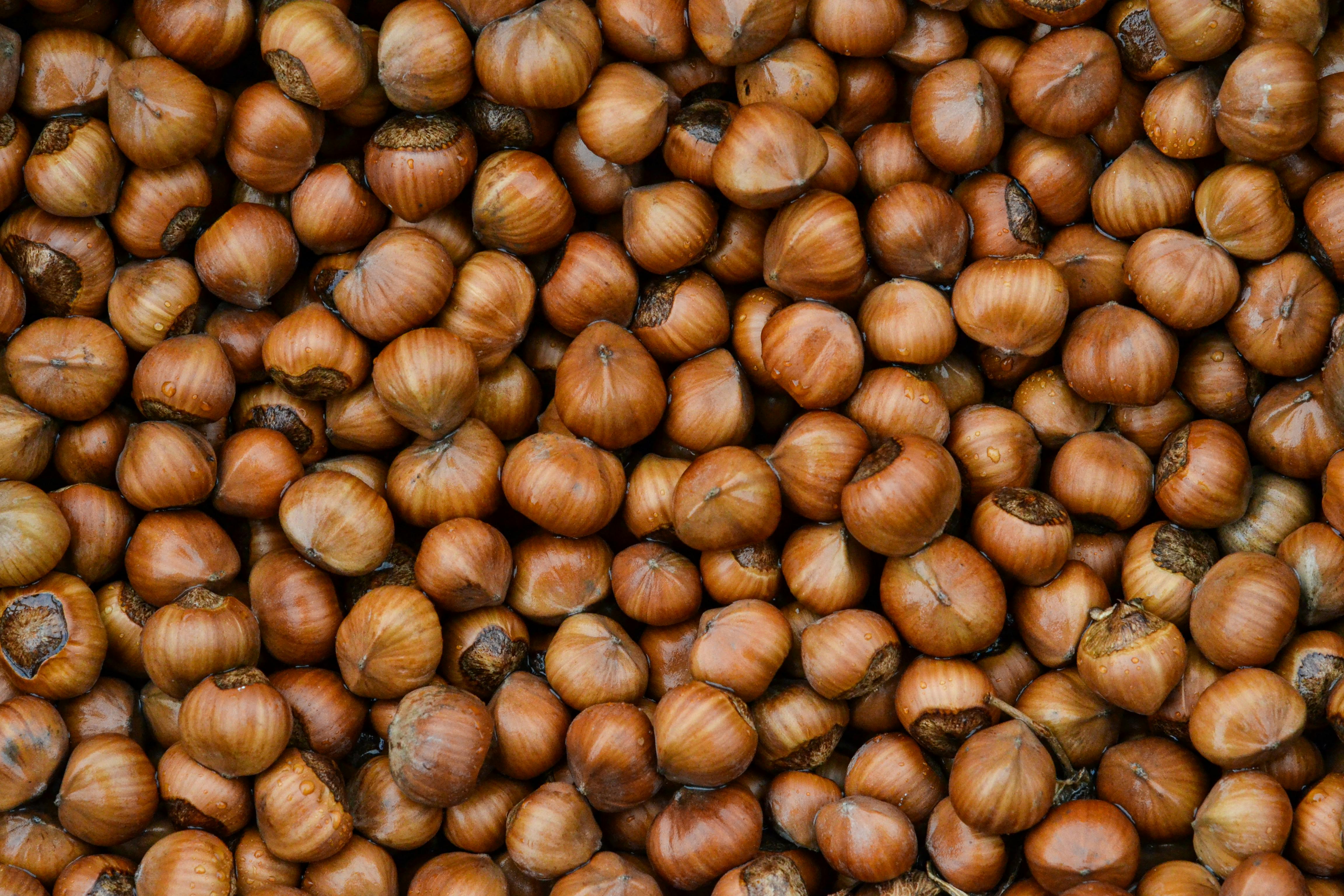 Nuts · Free Stock Photo