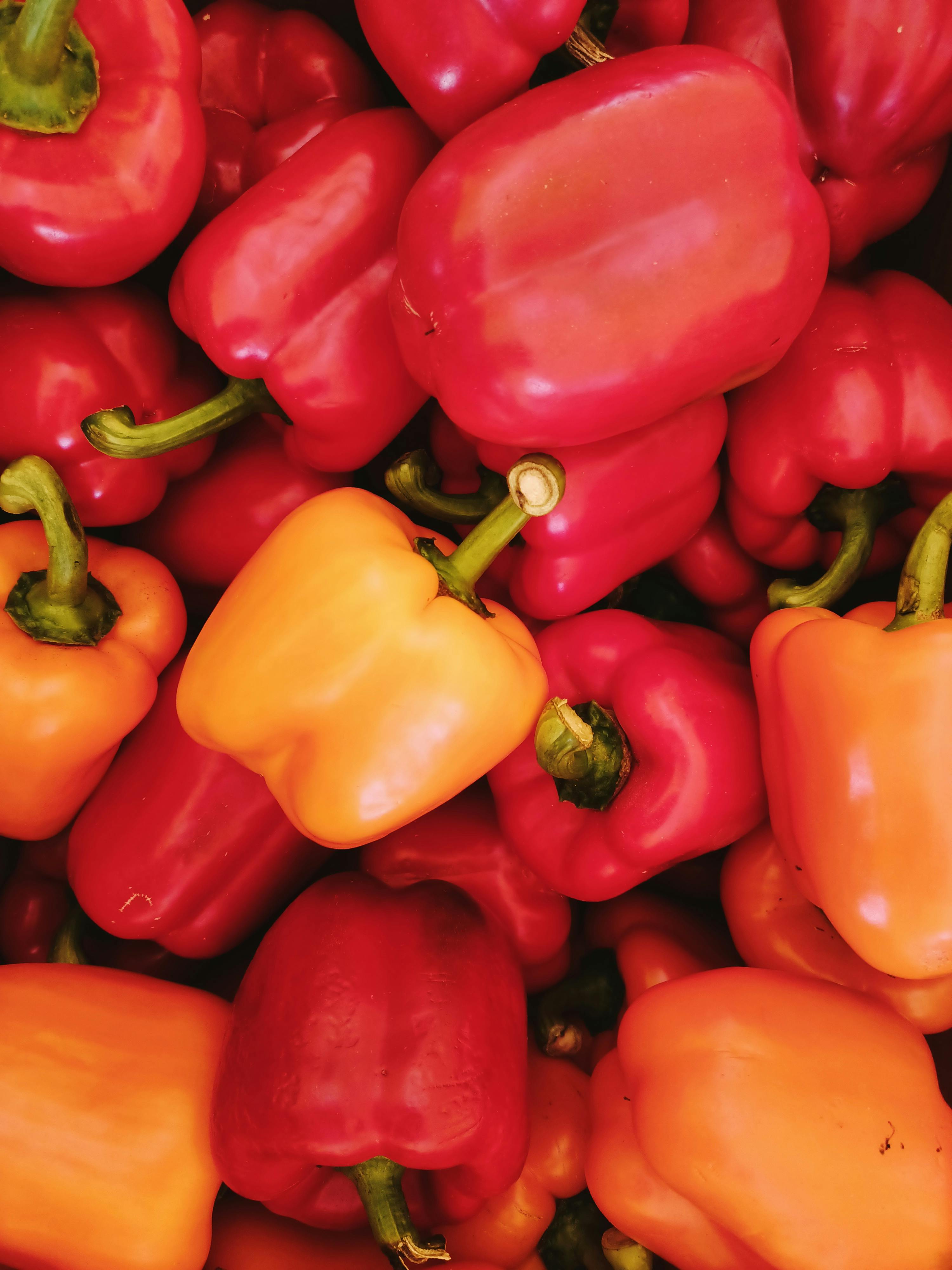 20+ Best Savage Photos · 100% Free Download · Pexels Stock Photos