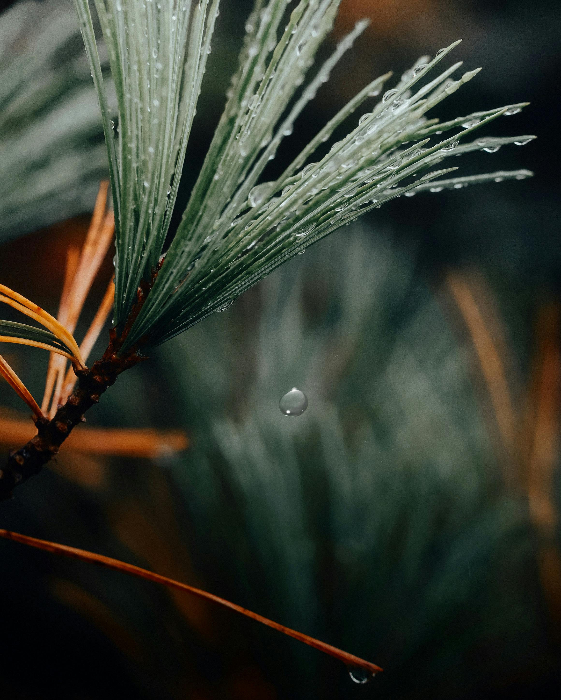 Lock Screen Falling Photos, Download Free Lock Screen Falling Stock ...