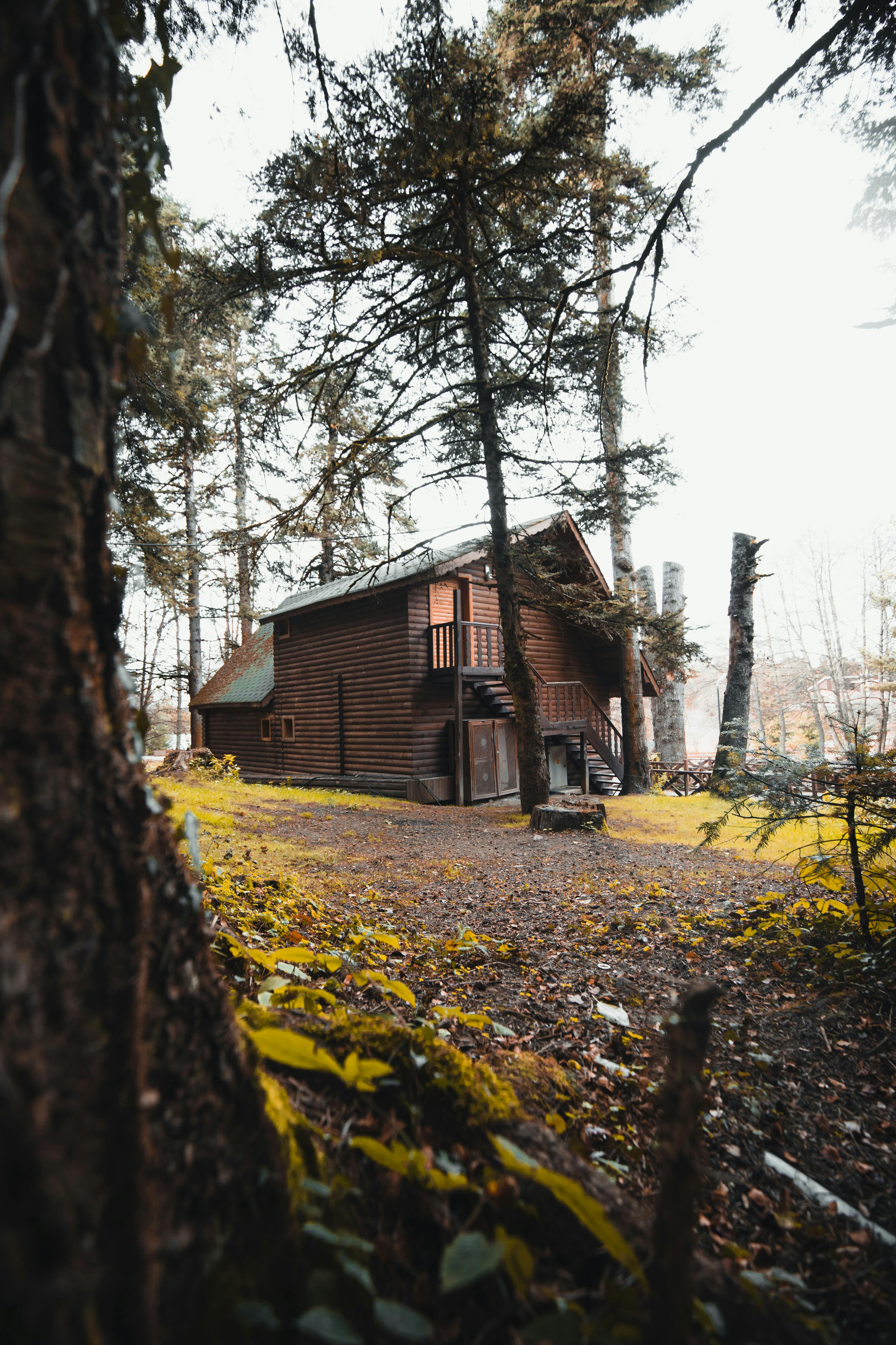 A Wooden House in the Forest · Free Stock Photo