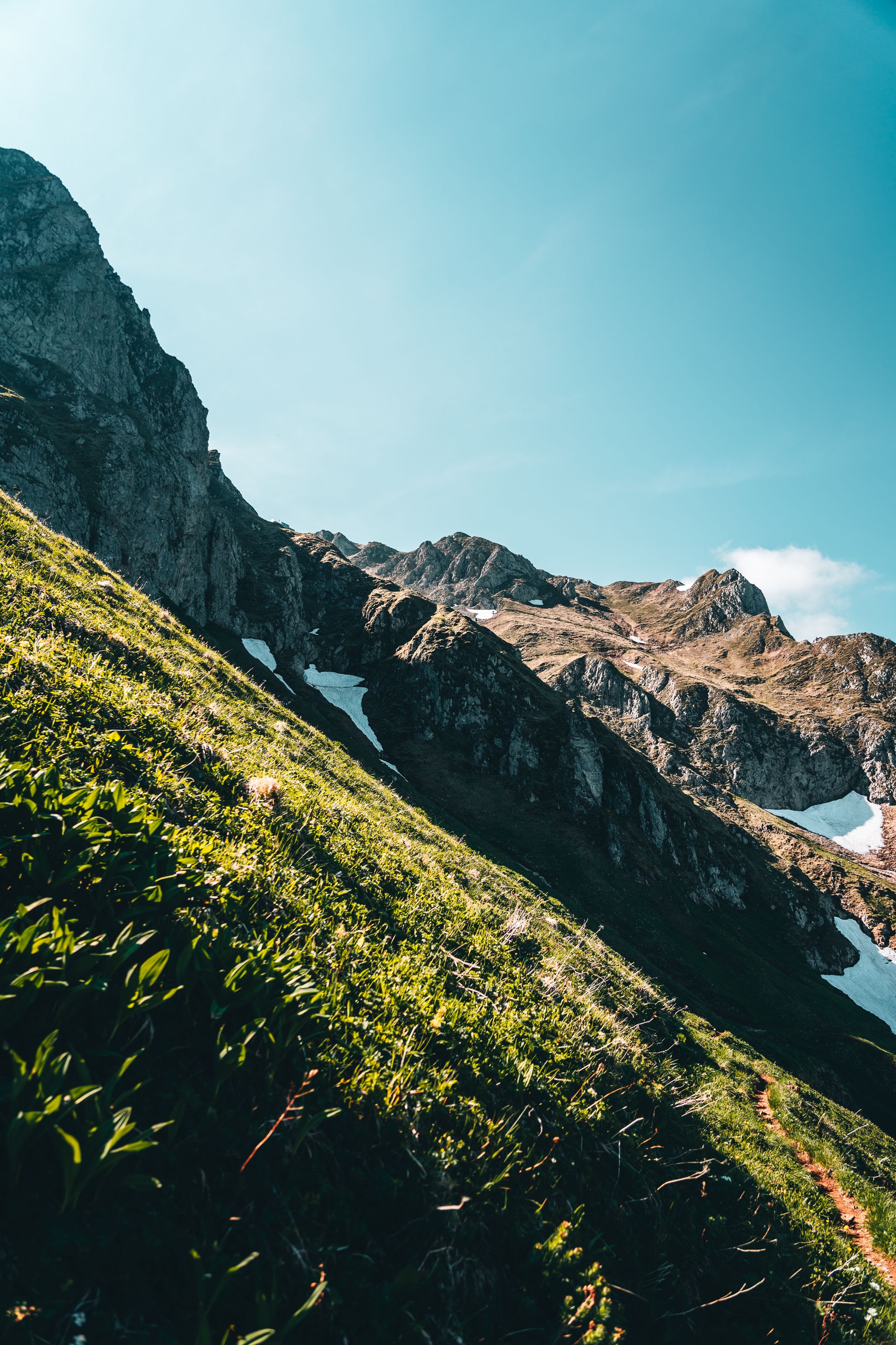 Mountain Slope covered in Grass near Rocky Mountains · Free Stock Photo