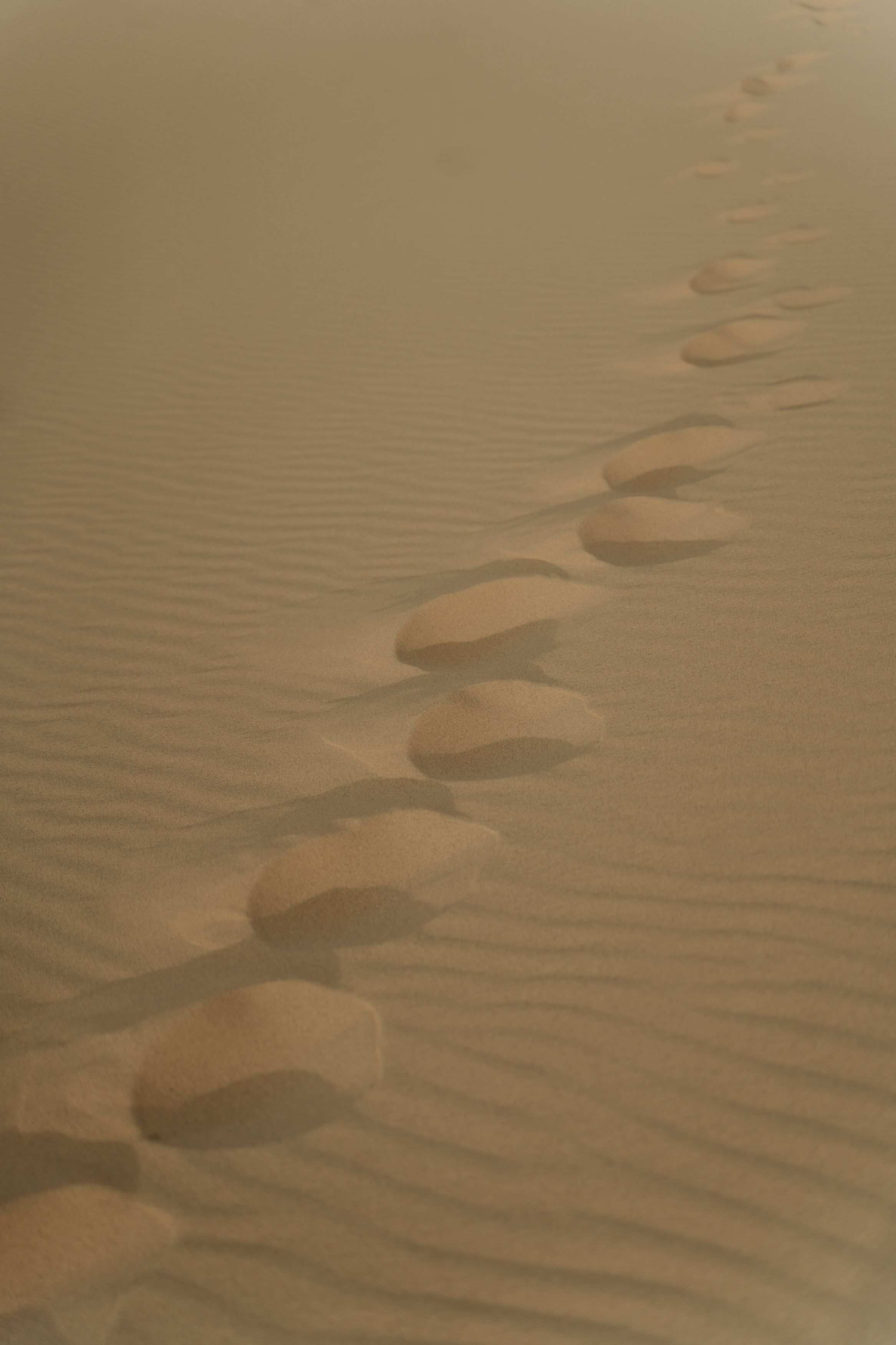 Footsteps In Sand Photos, Download The BEST Free Footsteps In Sand ...