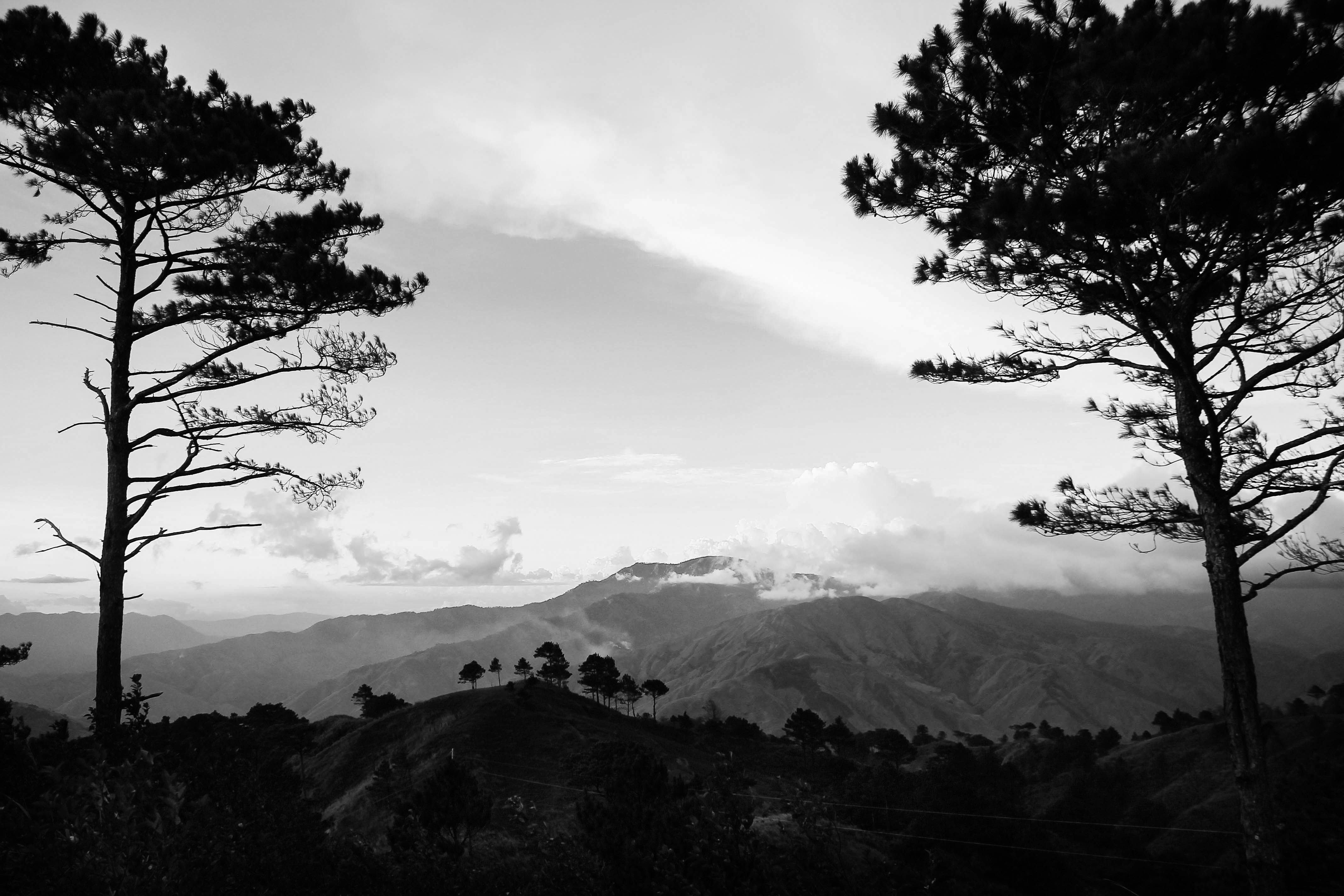 A Grayscale of Mountains and Trees · Free Stock Photo