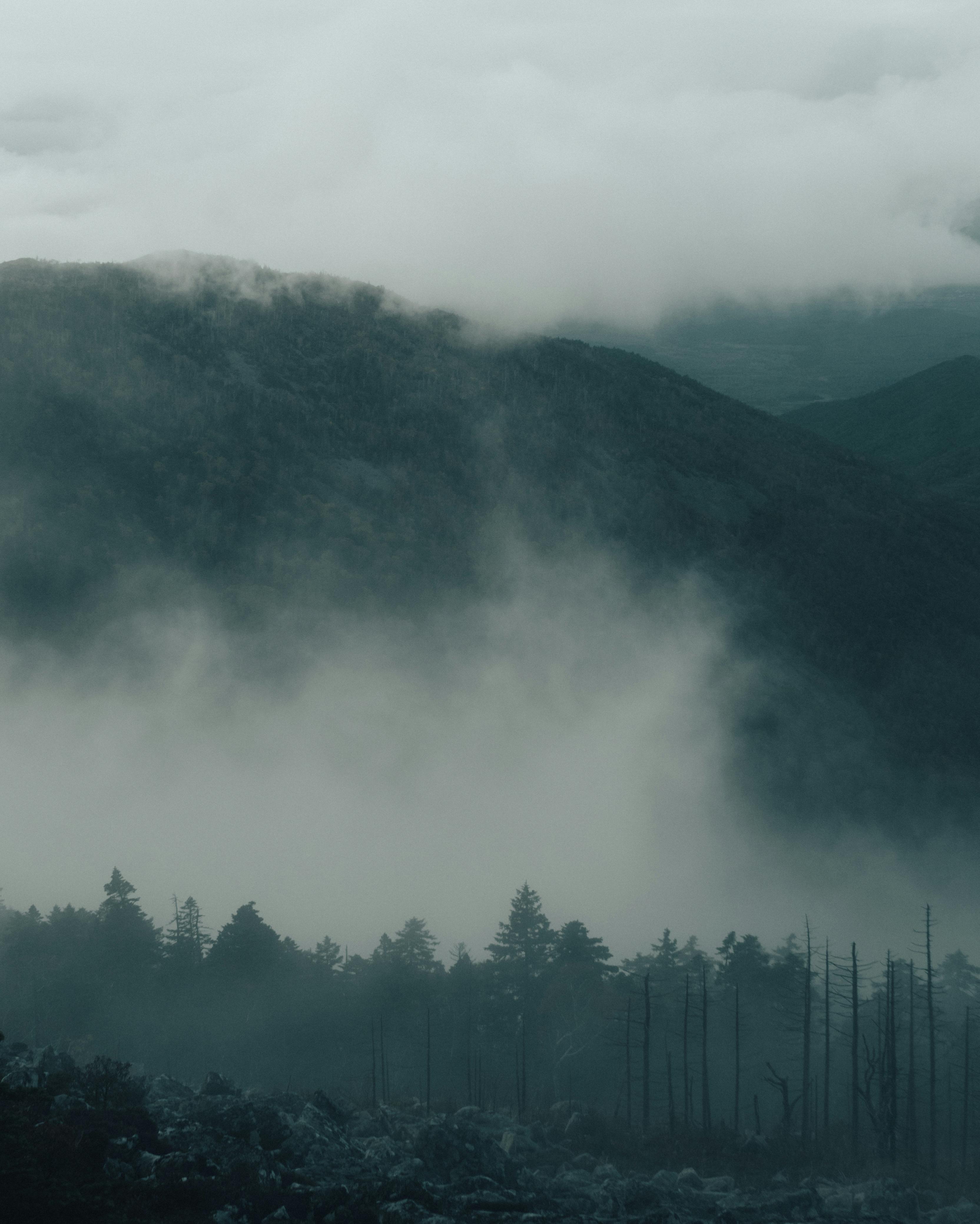 People on Hill in Fog · Free Stock Photo