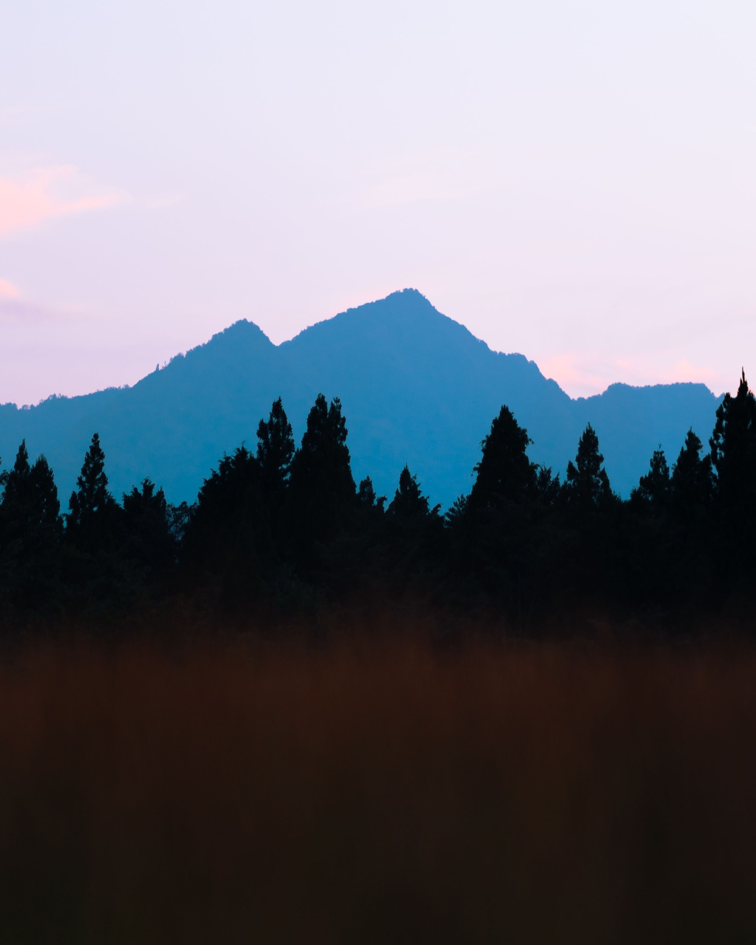 Silhouette of Trees and Mountain · Free Stock Photo